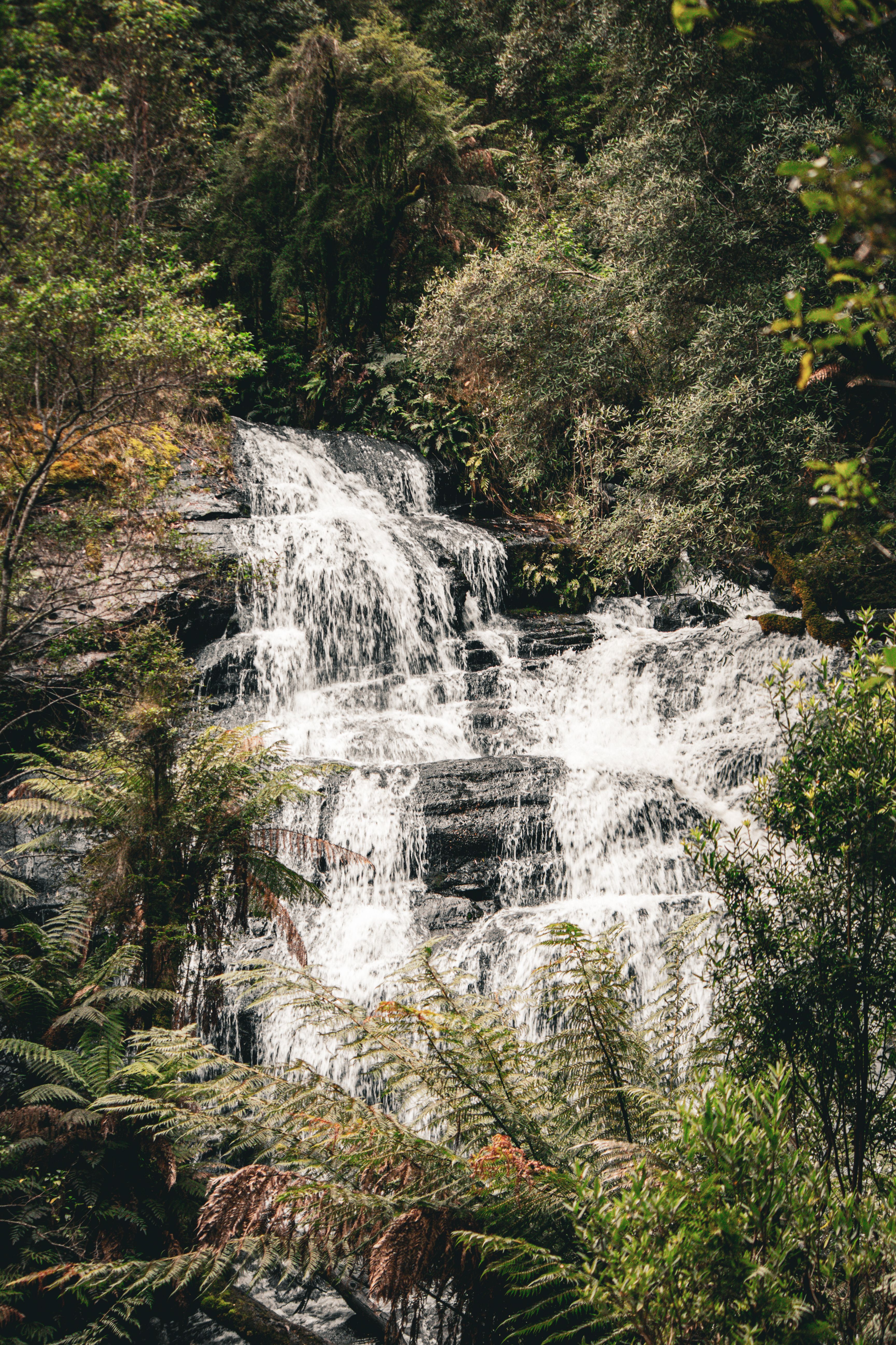 Australian Waterfall Photos, Download The BEST Free Australian ...