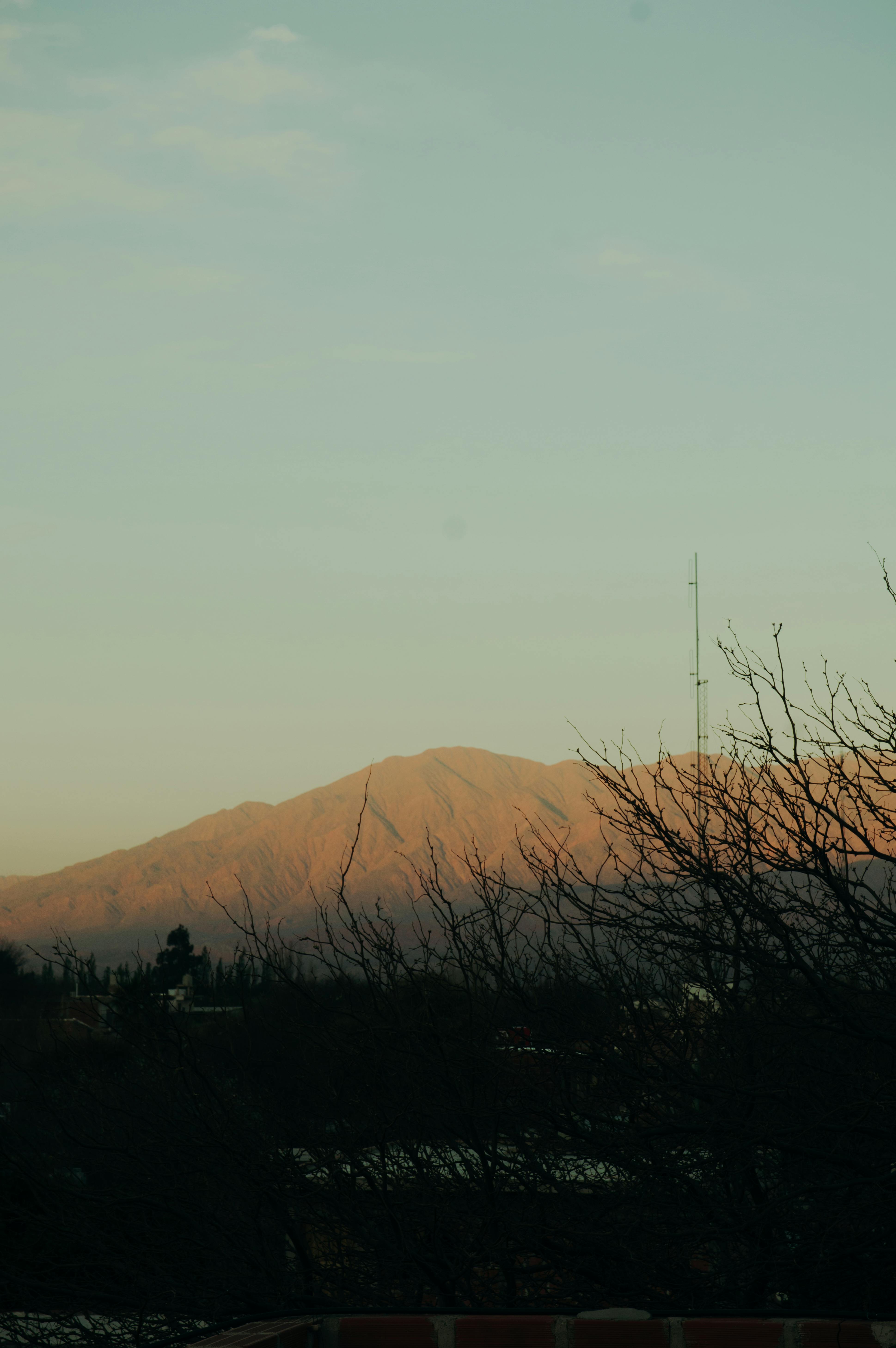 Code Branches Photos, Download The BEST Free Code Branches Stock Photos ...