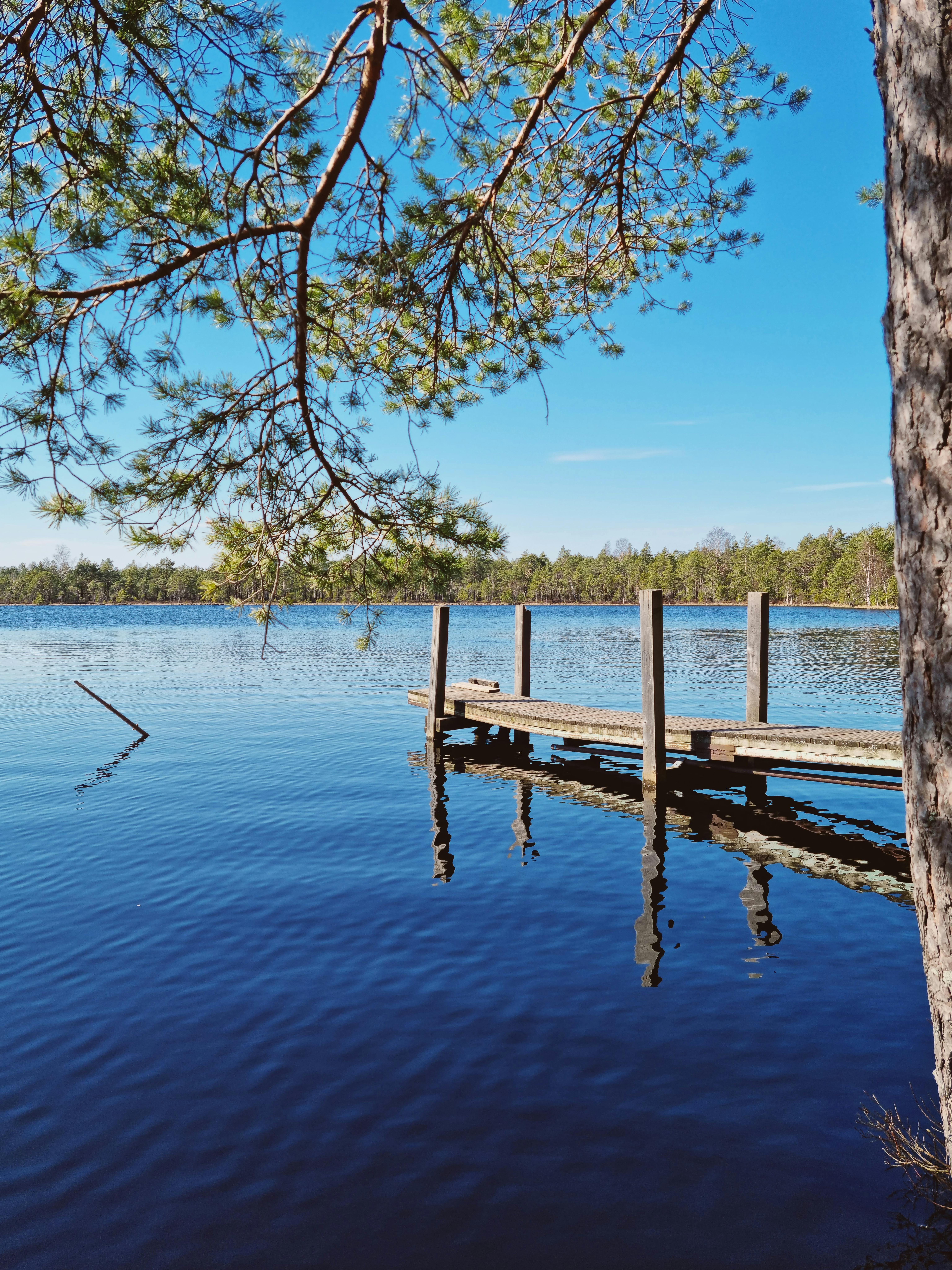 Daniel Peterson - Photographie