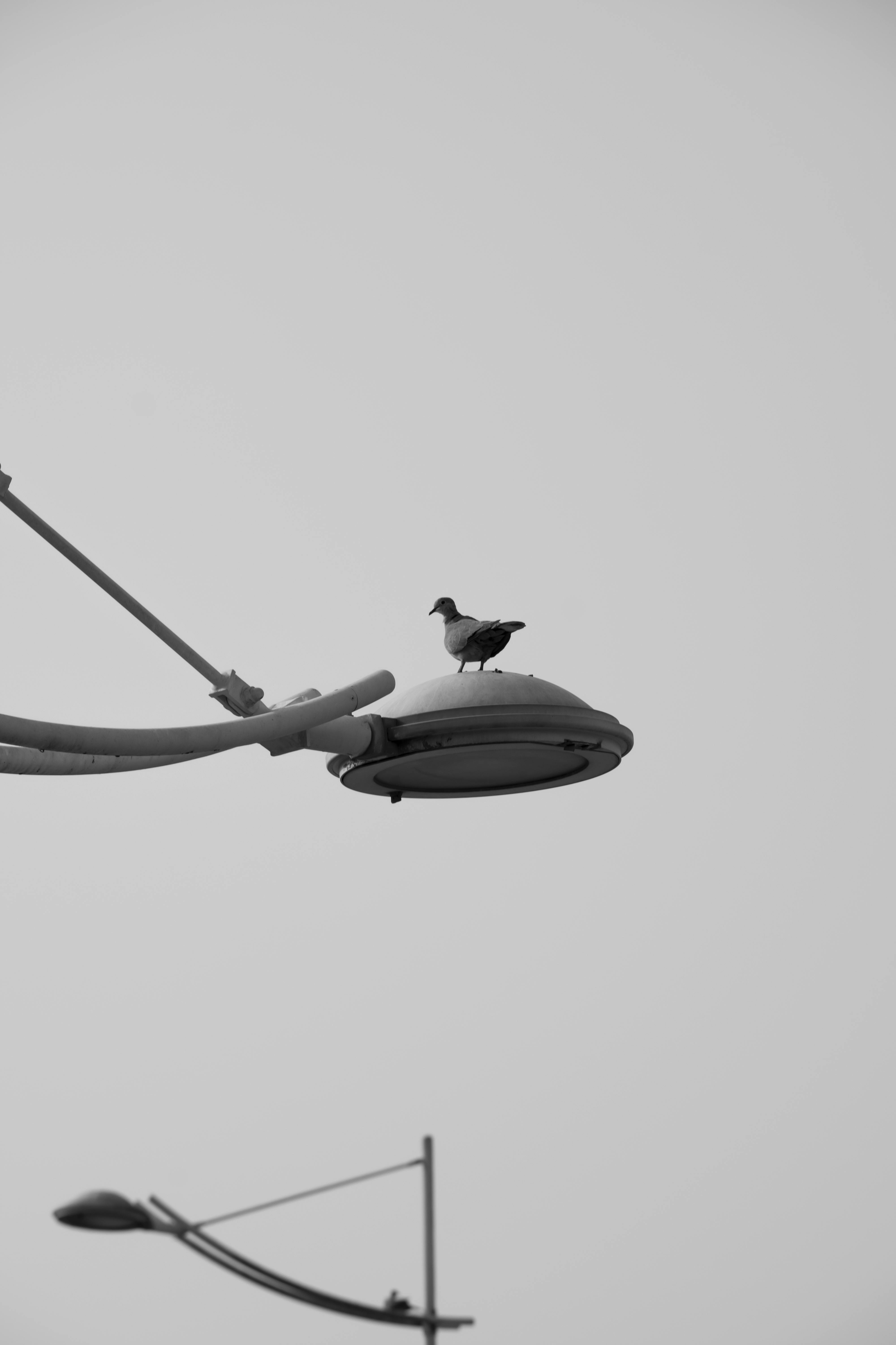 Copy Space Photos, Download The BEST Free Copy Space Stock Photos & HD ...