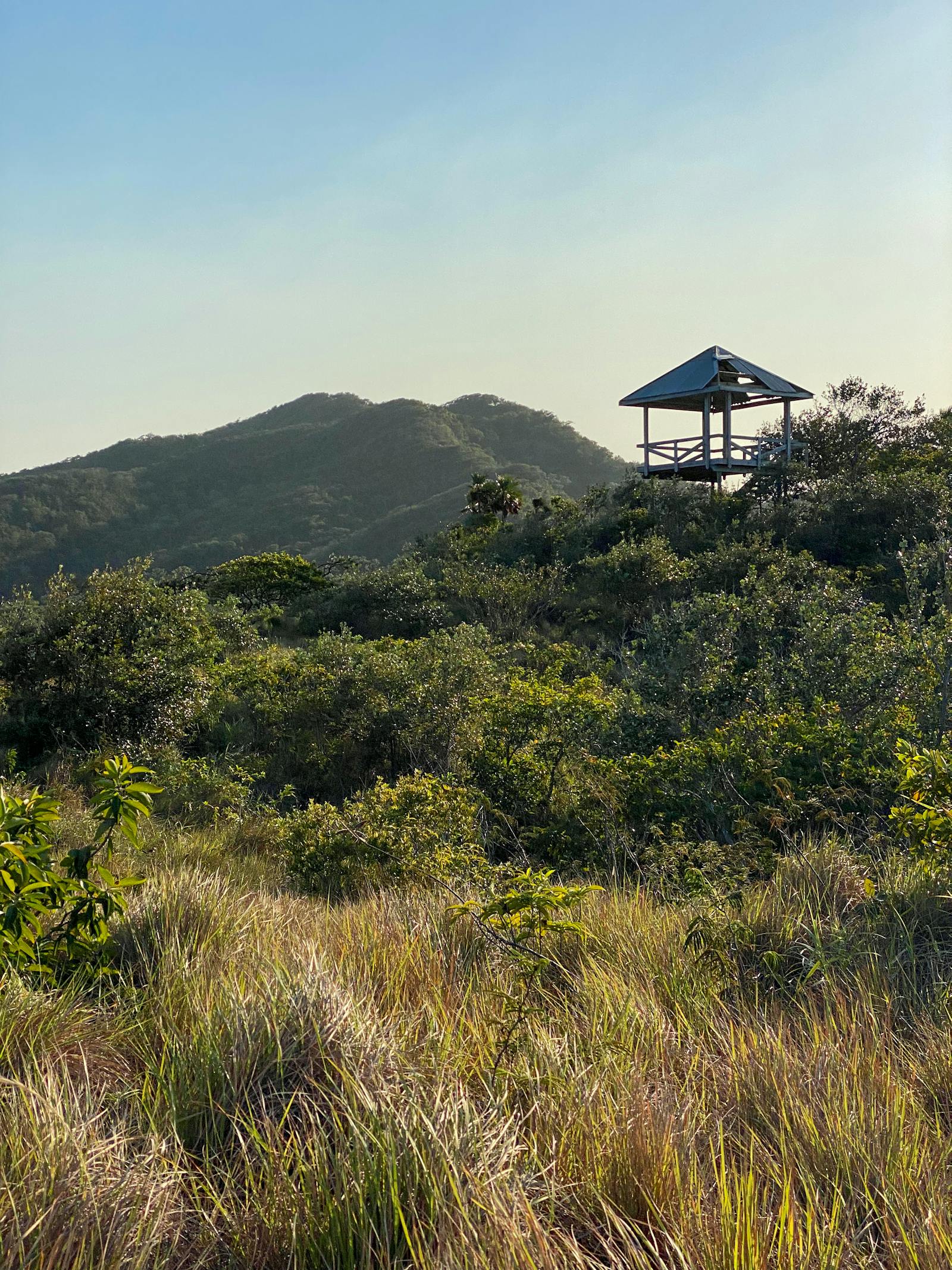 Honduras Photos, Download The BEST Free Honduras Stock Photos & HD Images