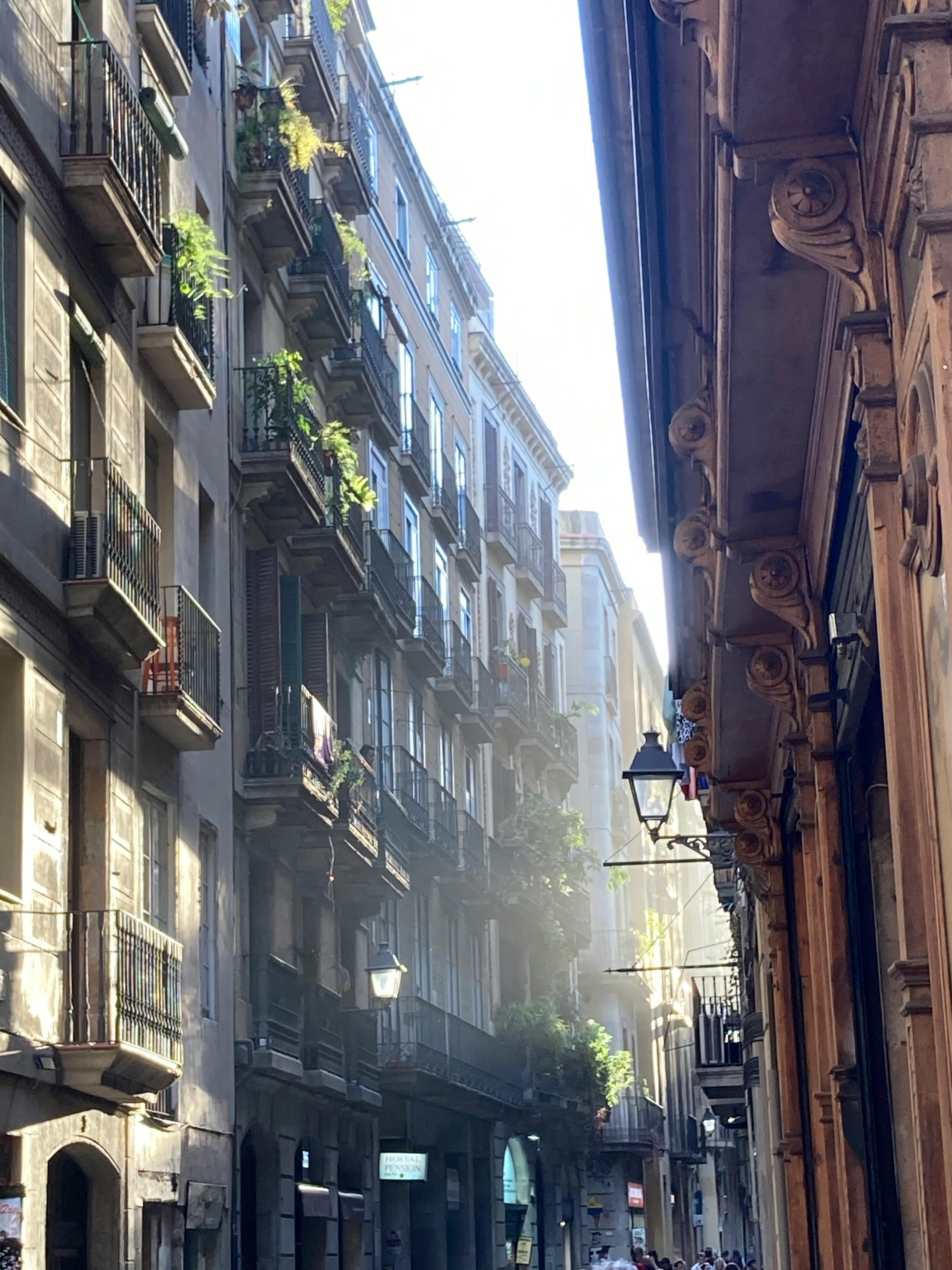 Alison Marsh - 写真