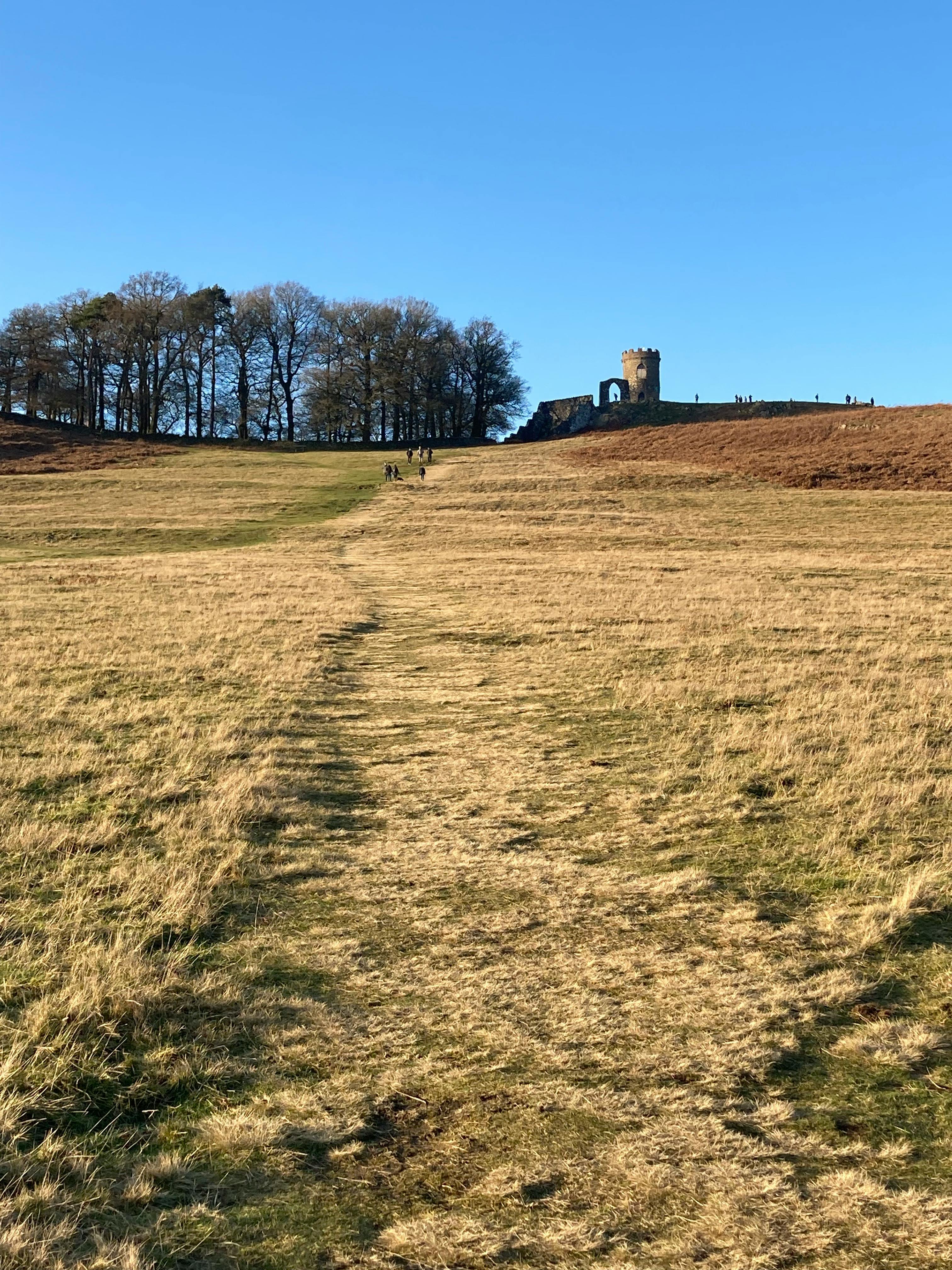 Alison Marsh - 写真