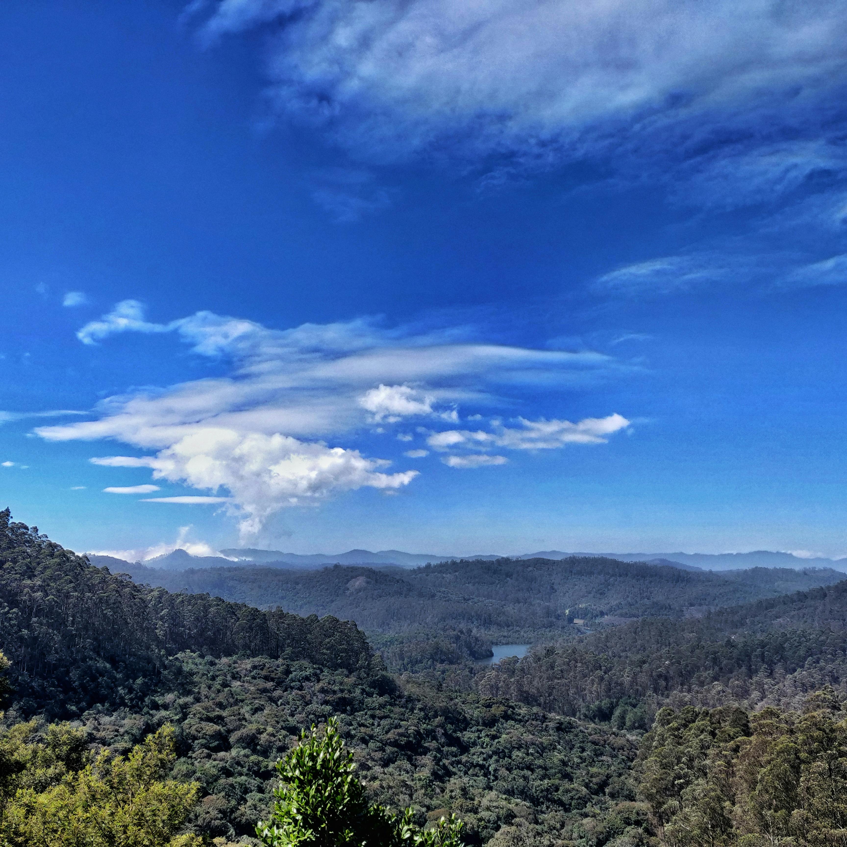 Ian Samuel J - 사진