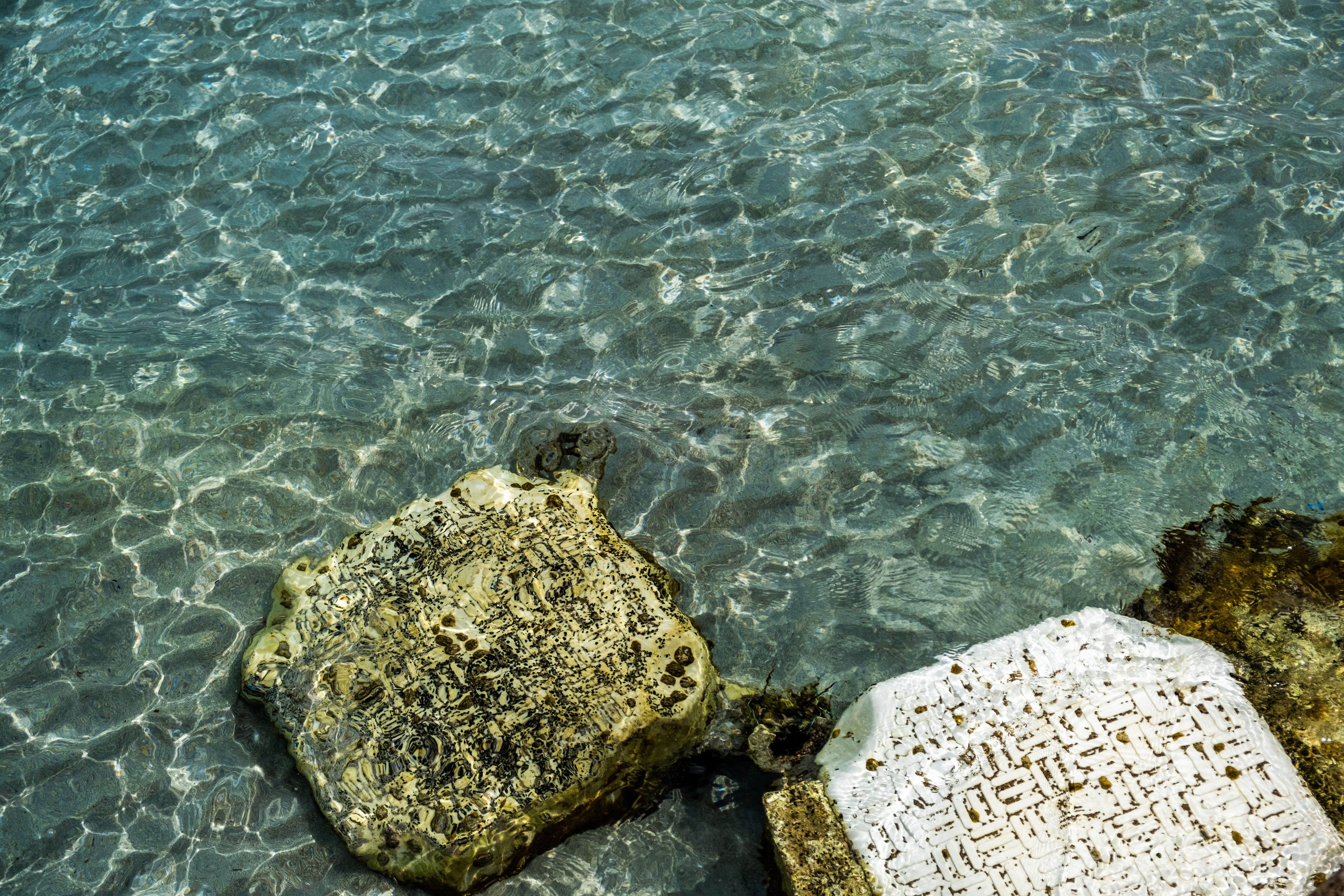 Rocks on the Shore with Clear Water · Free Stock Photo