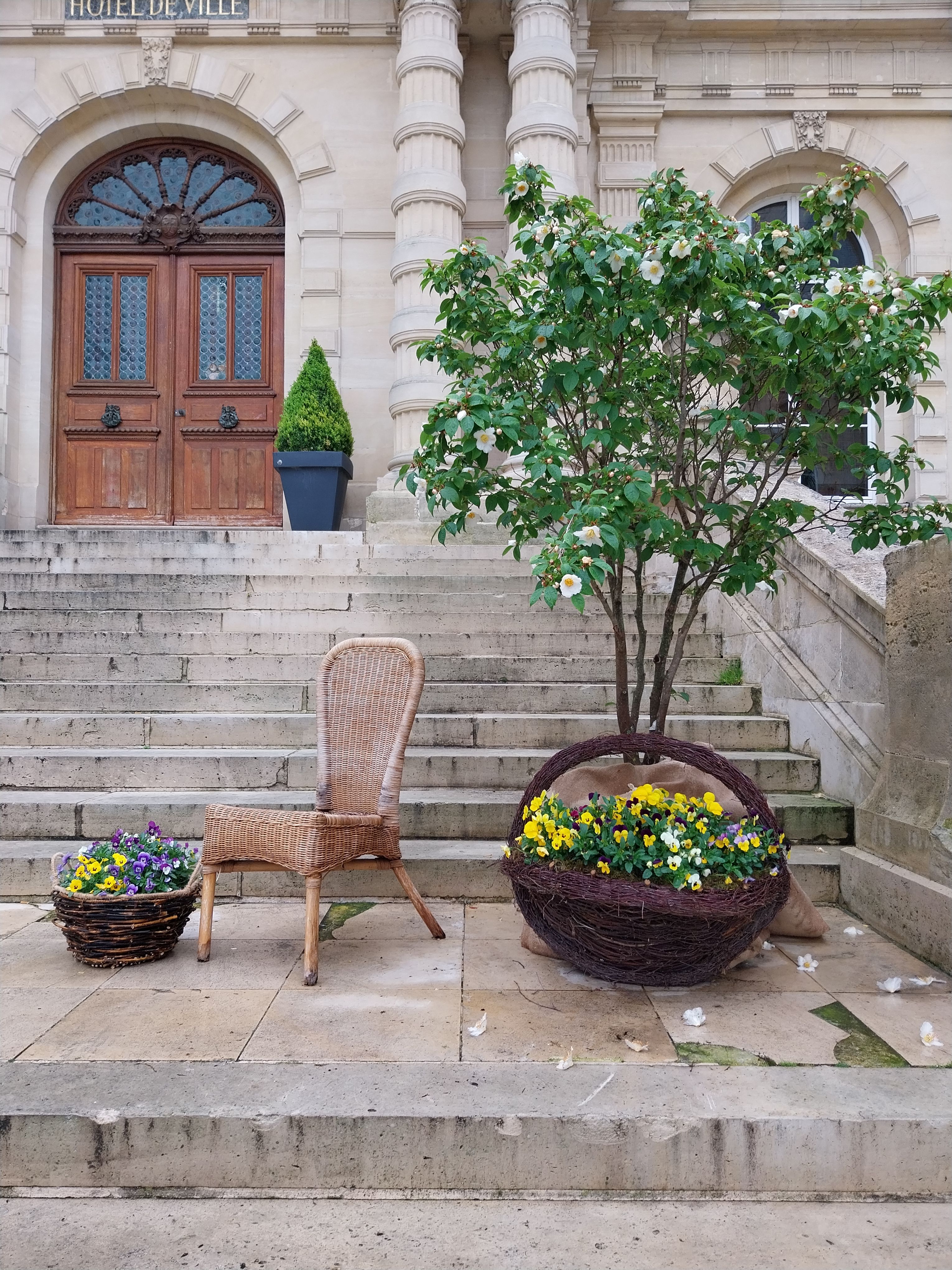 Chair Set between Flower Pot on Stairs Leading to Entrance Doors · Free ...