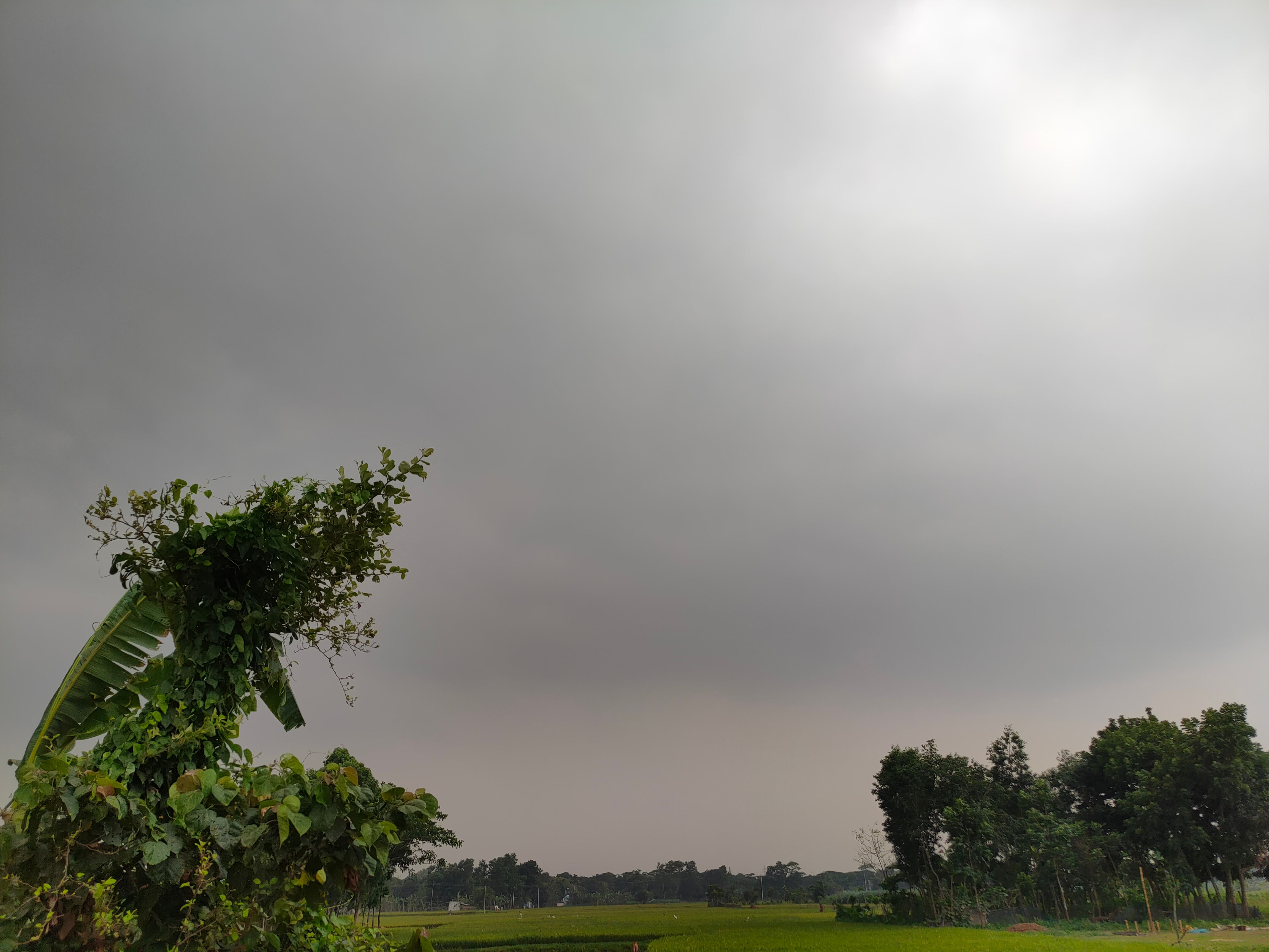 Sajedur Rahman Rony - Photographie