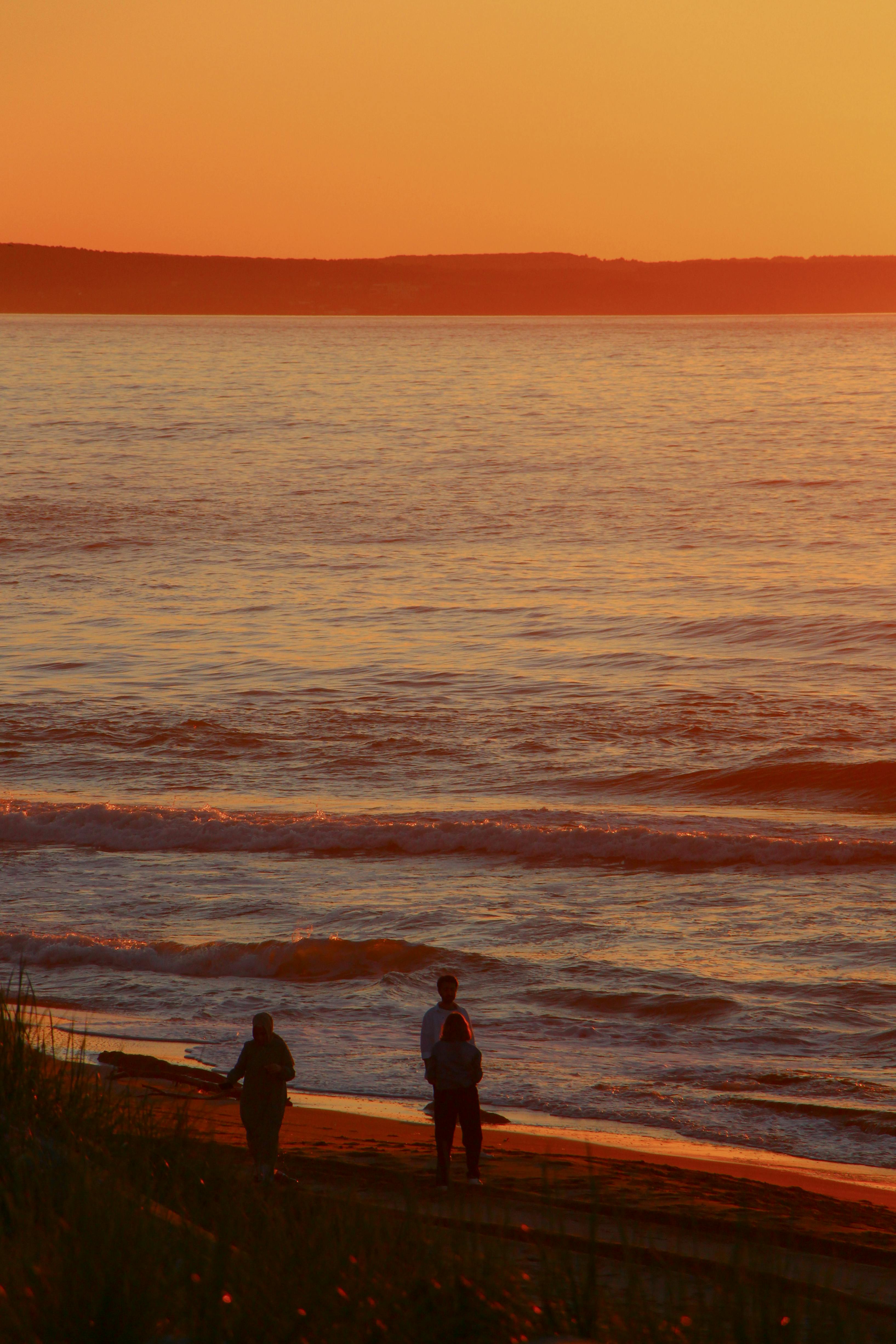 Person Standing on Windy Sea Shore · Free Stock Photo