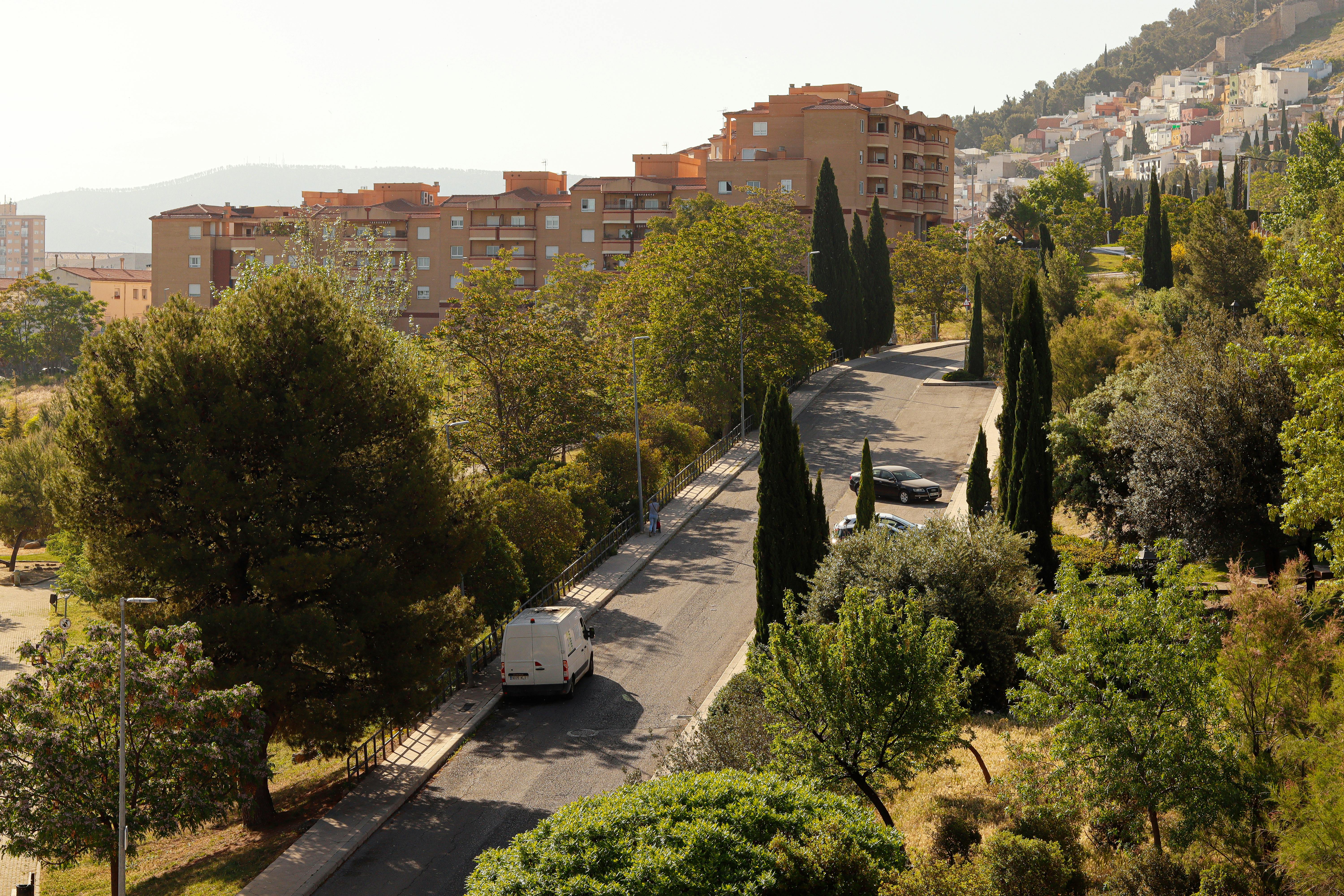 Trees around Road towards Town · Free Stock Photo