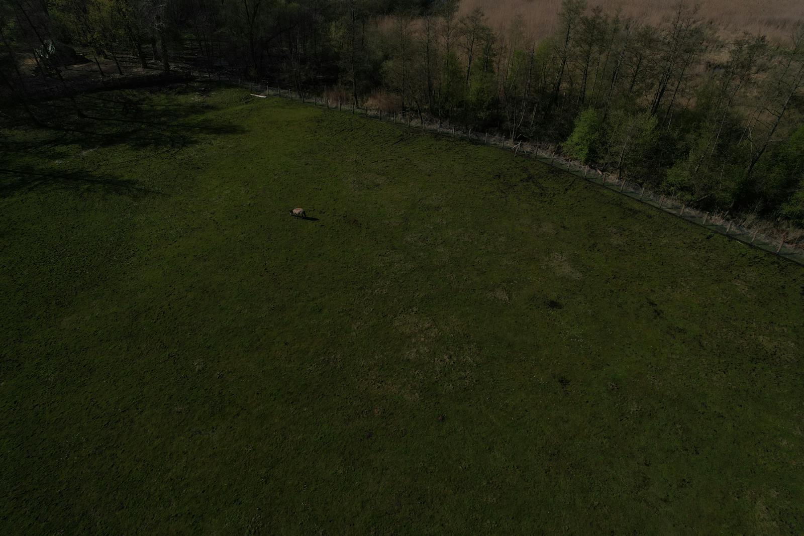 Treeline Photos, Download The BEST Free Treeline Stock Photos & HD Images