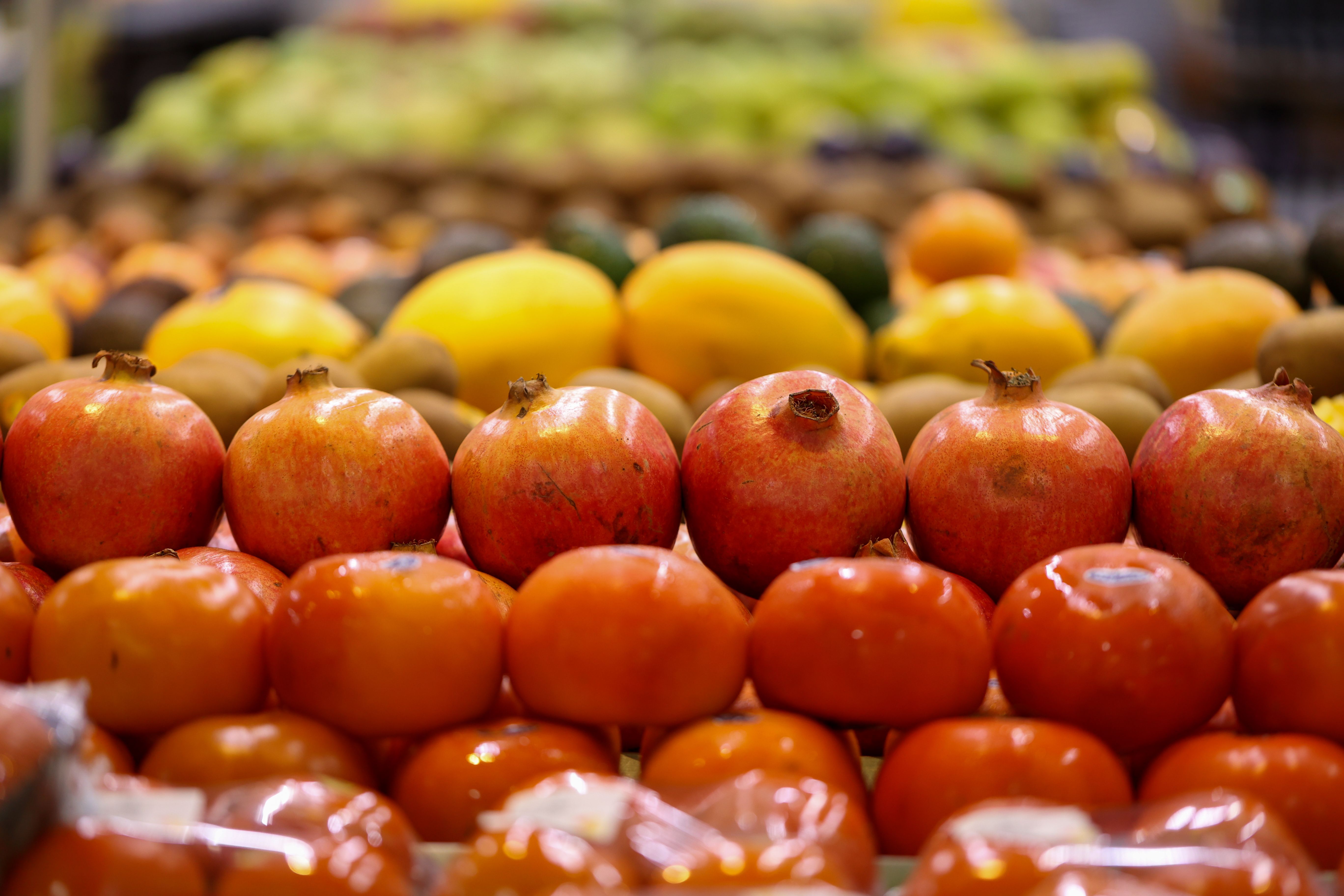 50+ melhores imagens de Verduras · Download 100% grátis · Fotos ...