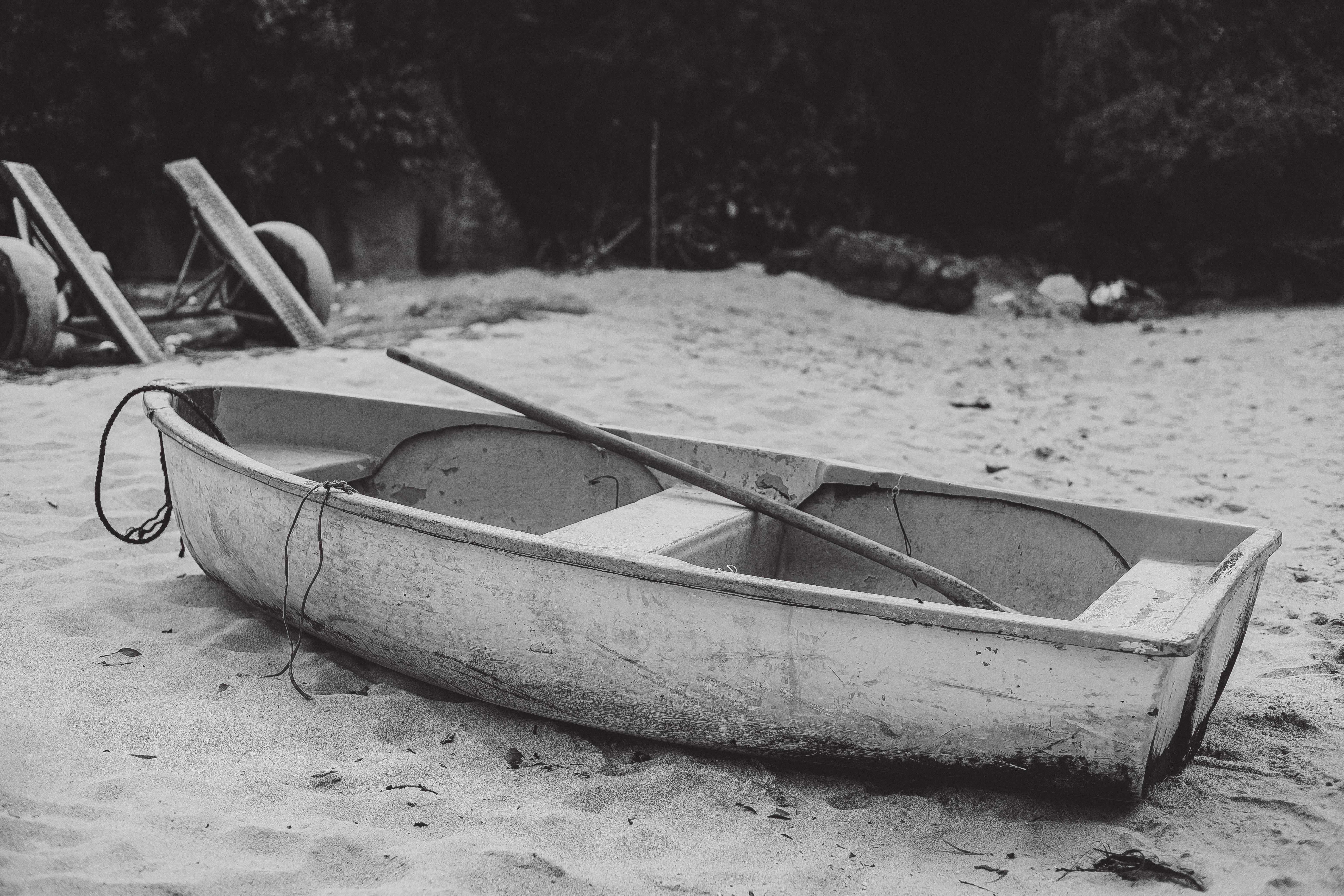 Rowboat wit a Paddle inside on the Beach · Free Stock Photo