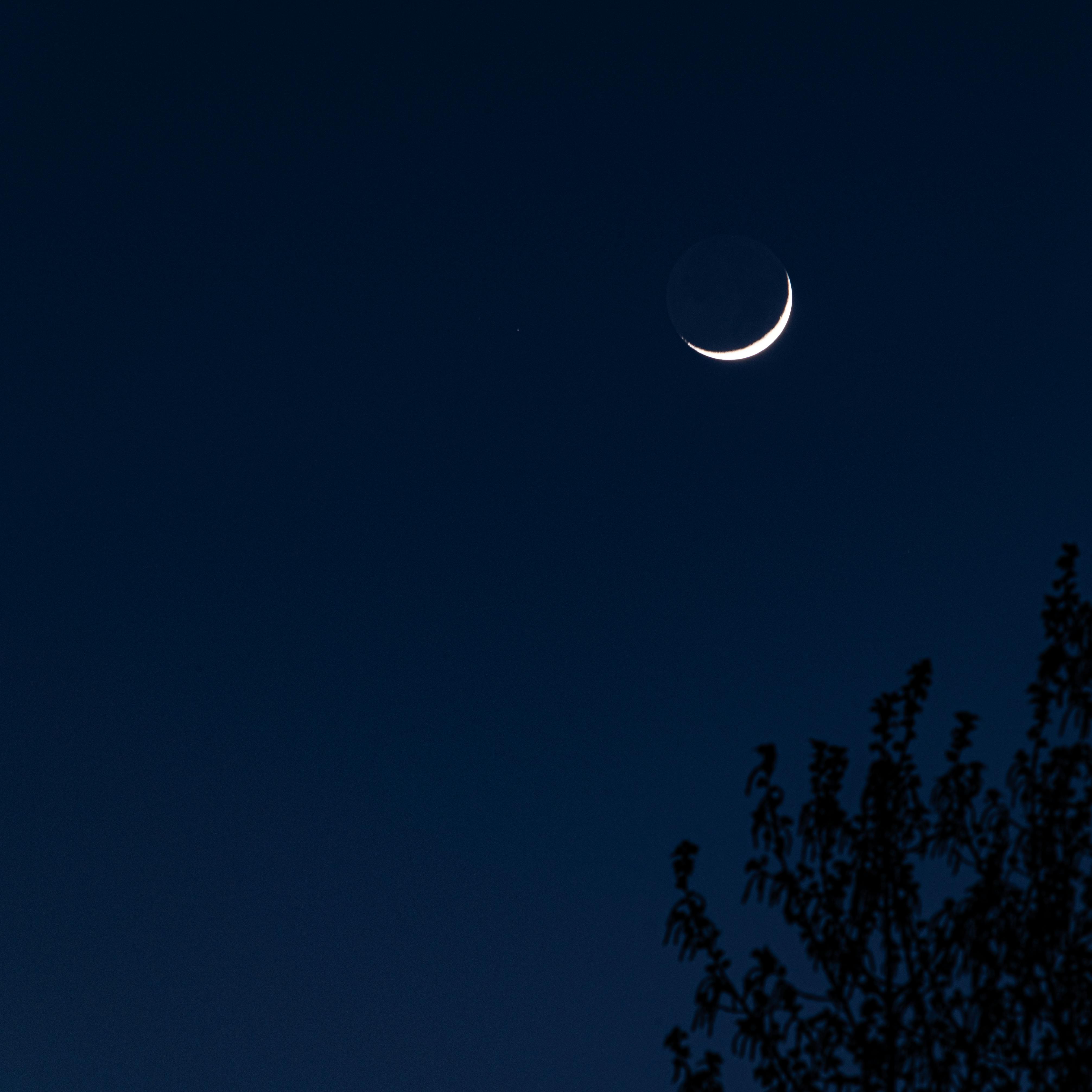 Crescent on Night Sky · Free Stock Photo