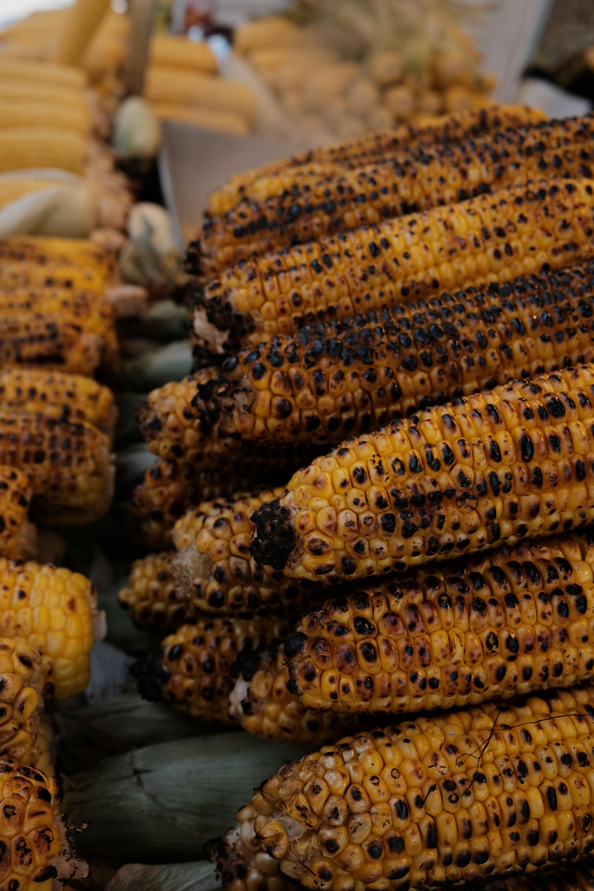 Orange Corn Kernels · Free Stock Photo