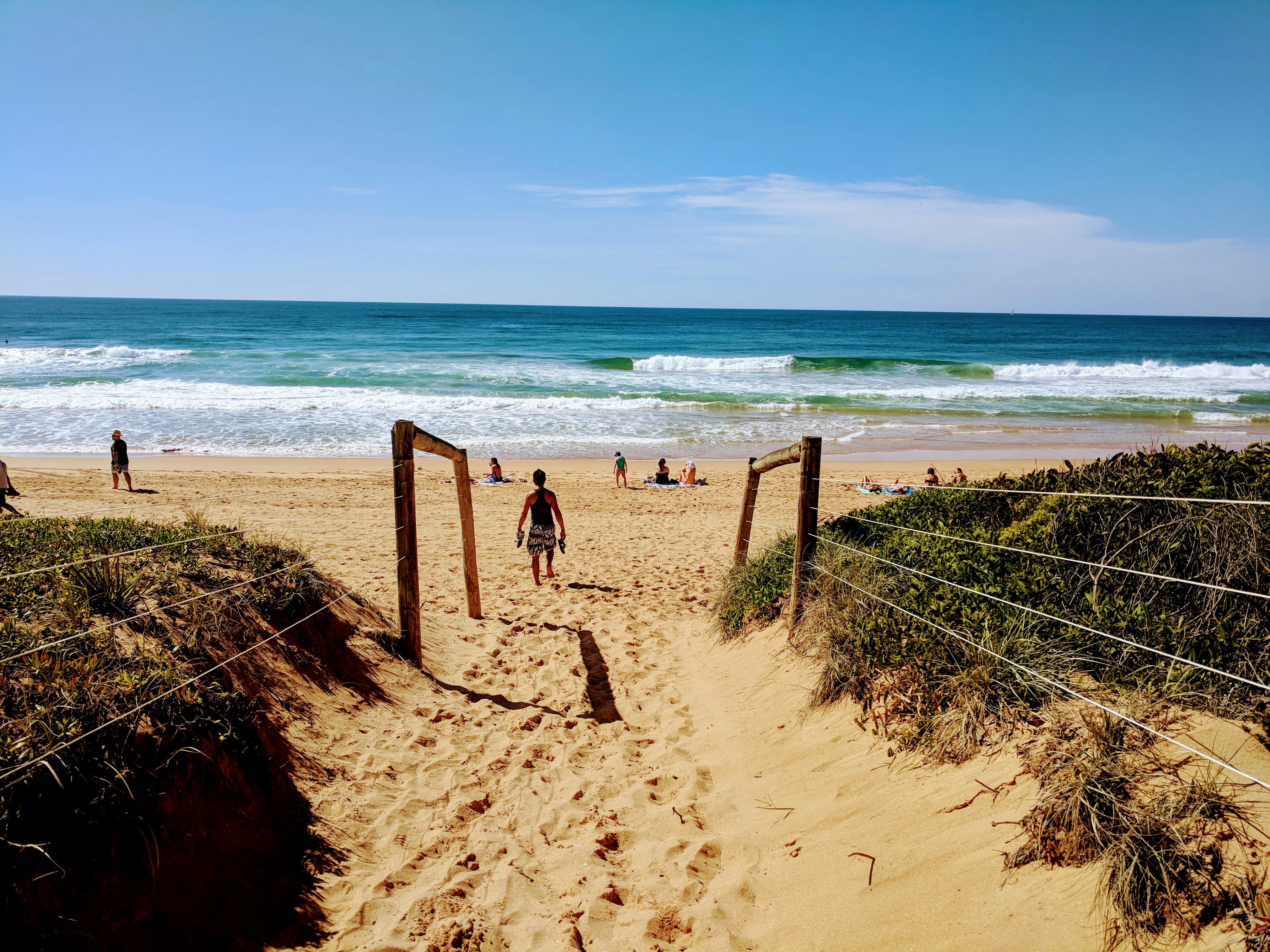 Sunlit Beach on Sea Shore · Free Stock Photo