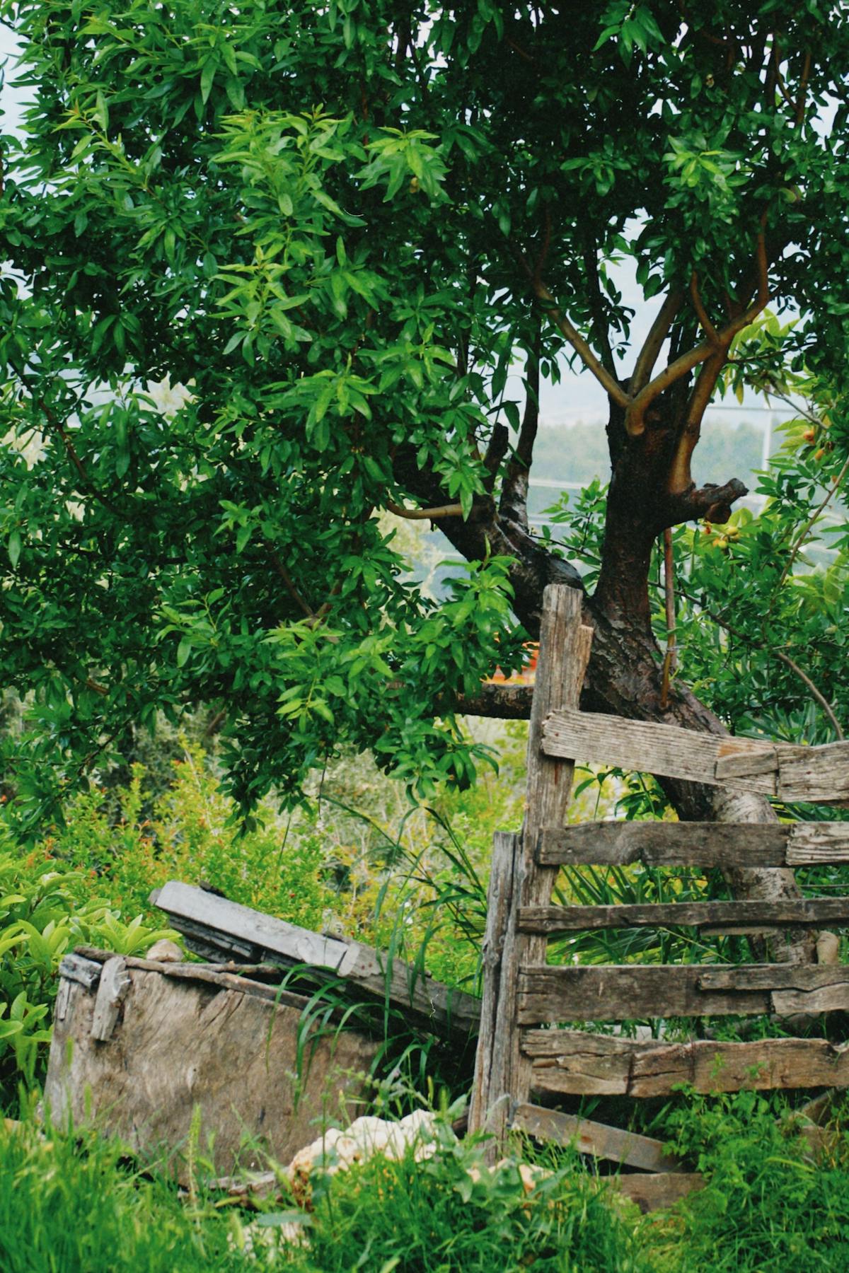 Damaged Fence Photos, Download The BEST Free Damaged Fence Stock Photos ...