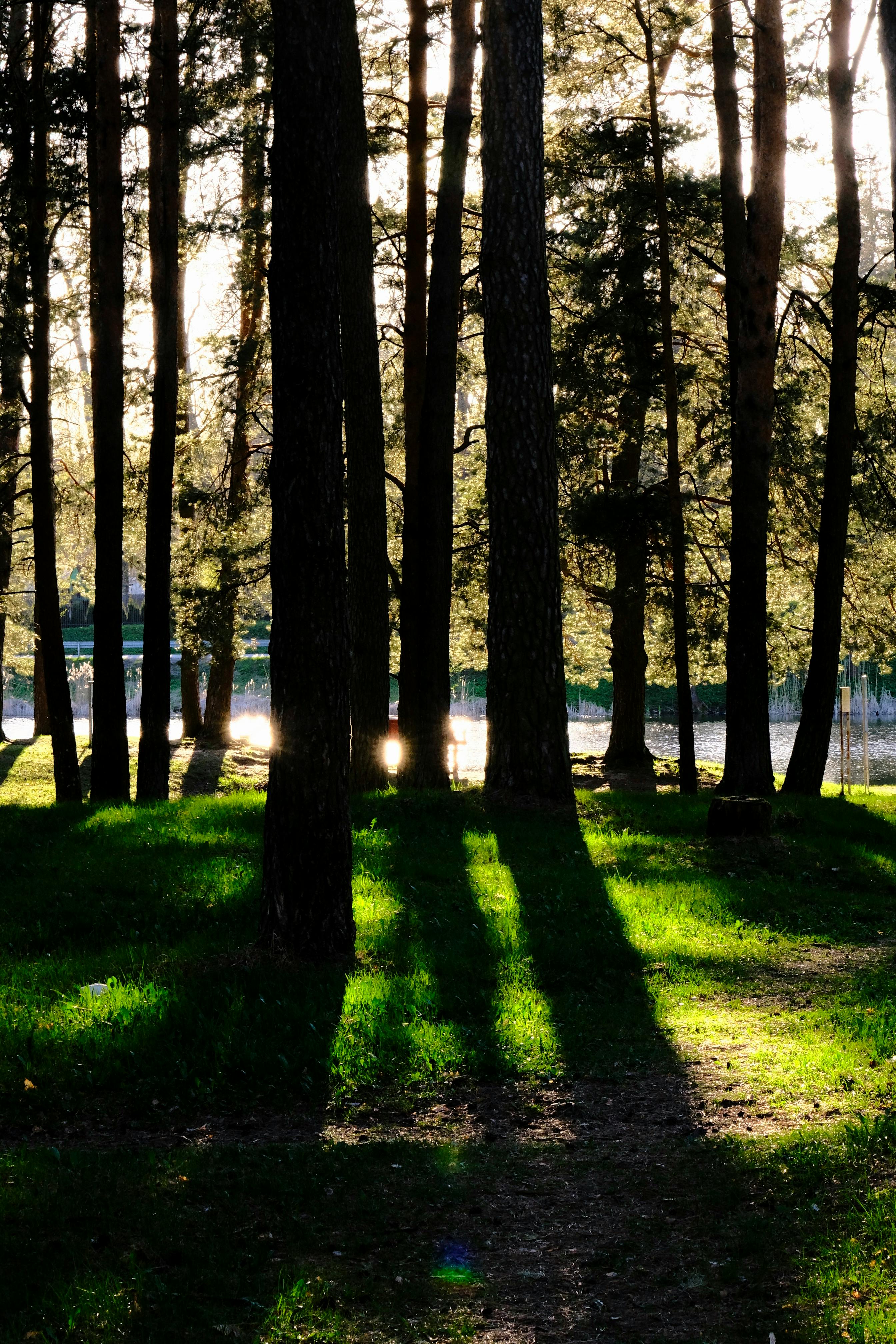 Distorted Shadows Photos, Download The BEST Free Distorted Shadows ...