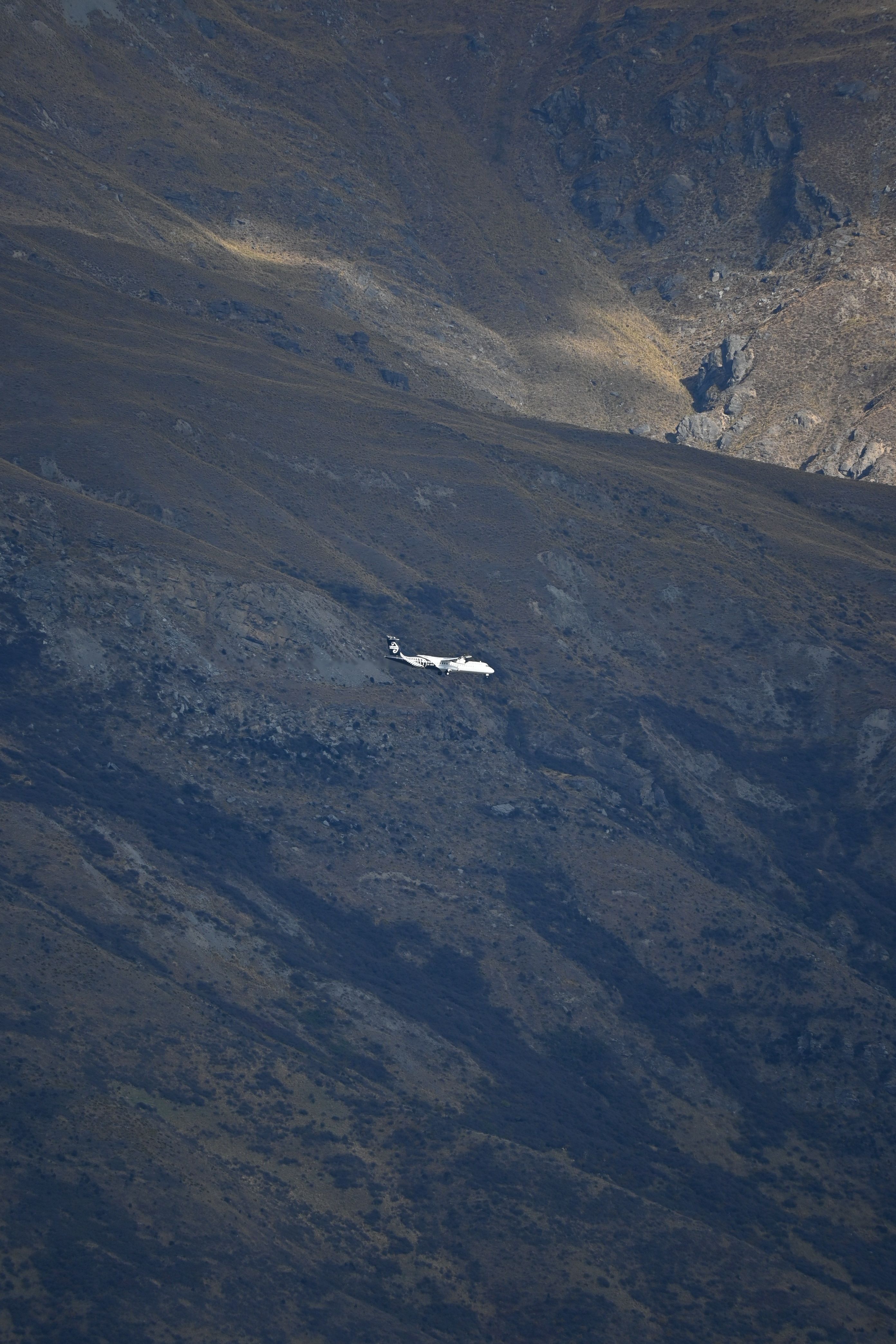 Plane Flying Photos, Download The BEST Free Plane Flying Stock Photos ...