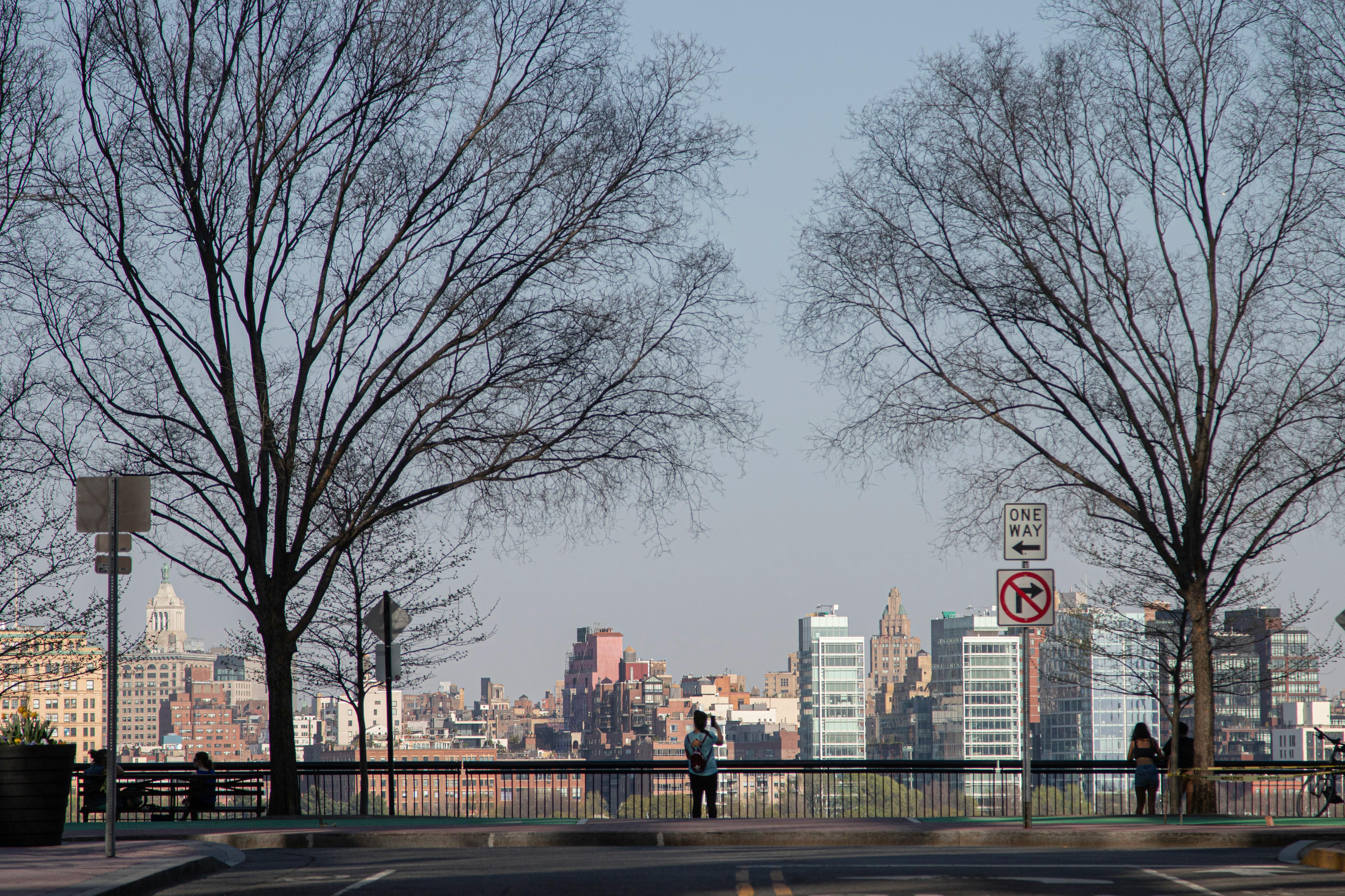 New York City Skyline seen from the Brooklyn Heights Promenade, New ...