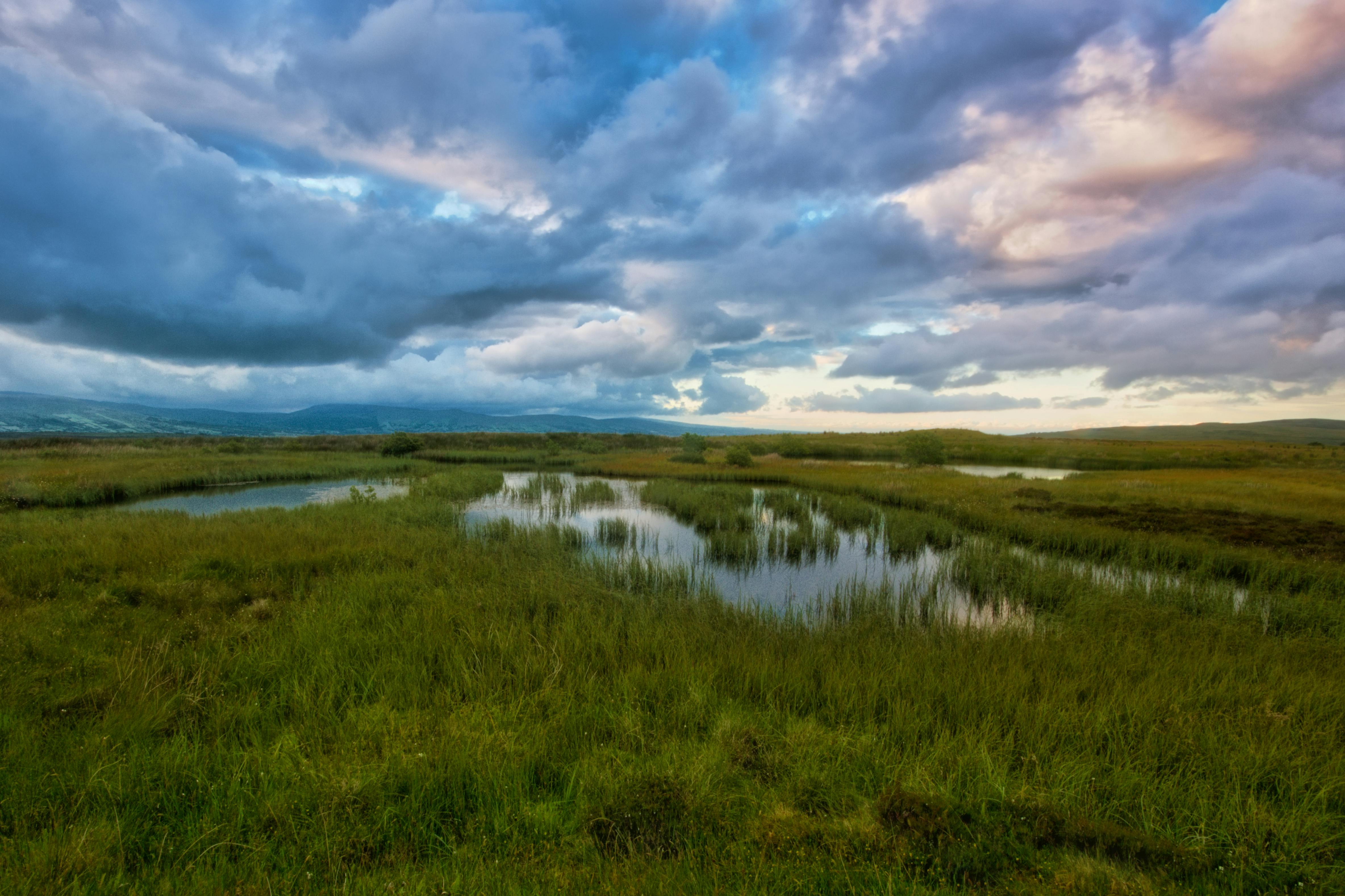 Top View Photography of Green Forest · Free Stock Photo