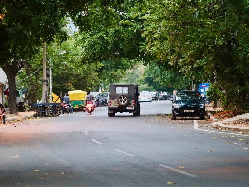 Thar Photos, Download The BEST Free Thar Stock Photos & HD Images