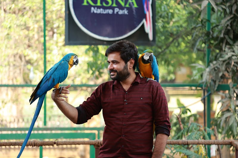 Gujarat Photos, Download The BEST Free Gujarat Stock Photos & HD Images