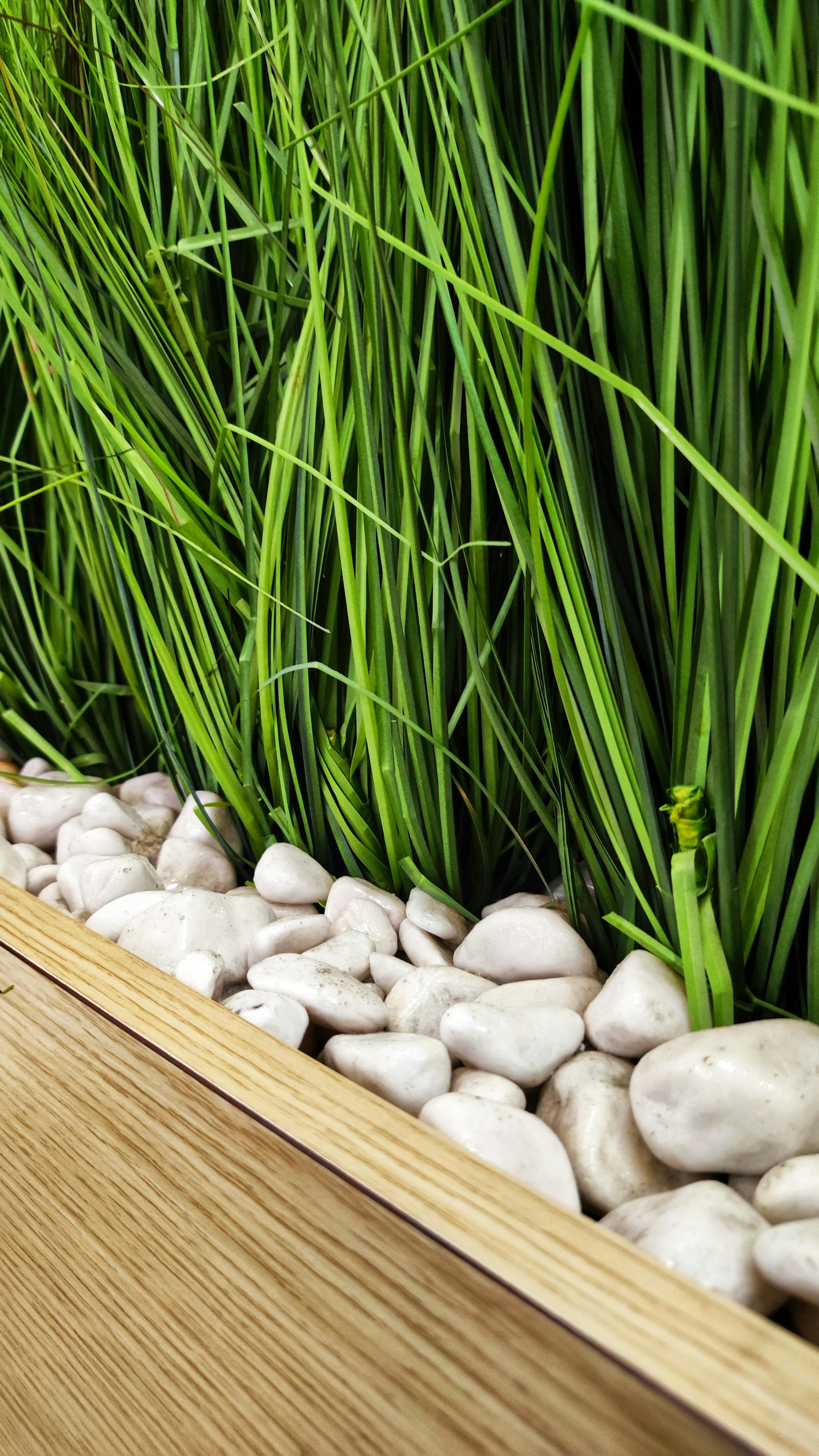 Moist Pebbles Photos, Download The BEST Free Moist Pebbles Stock Photos ...