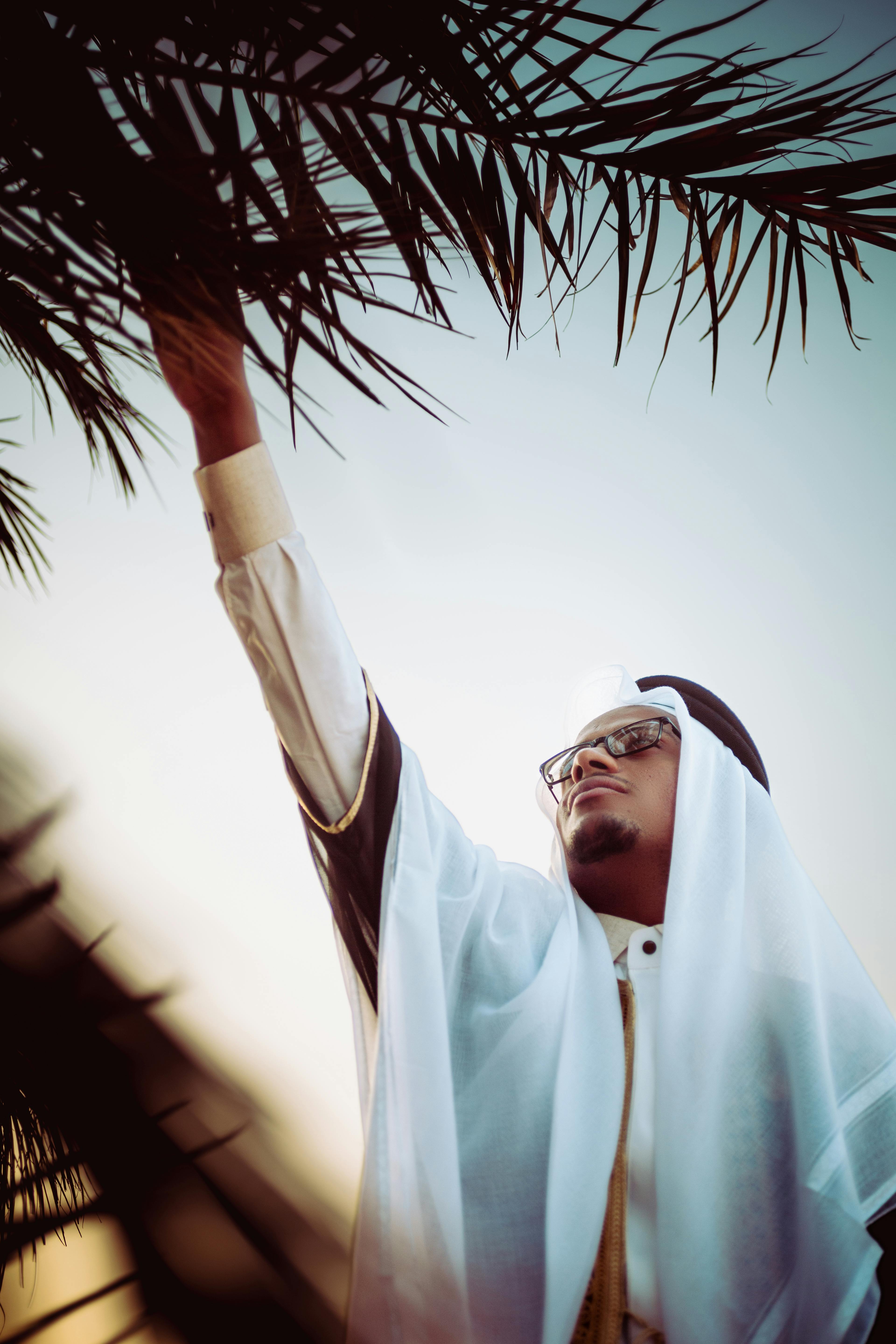 under the palm trees · Free Stock Photo