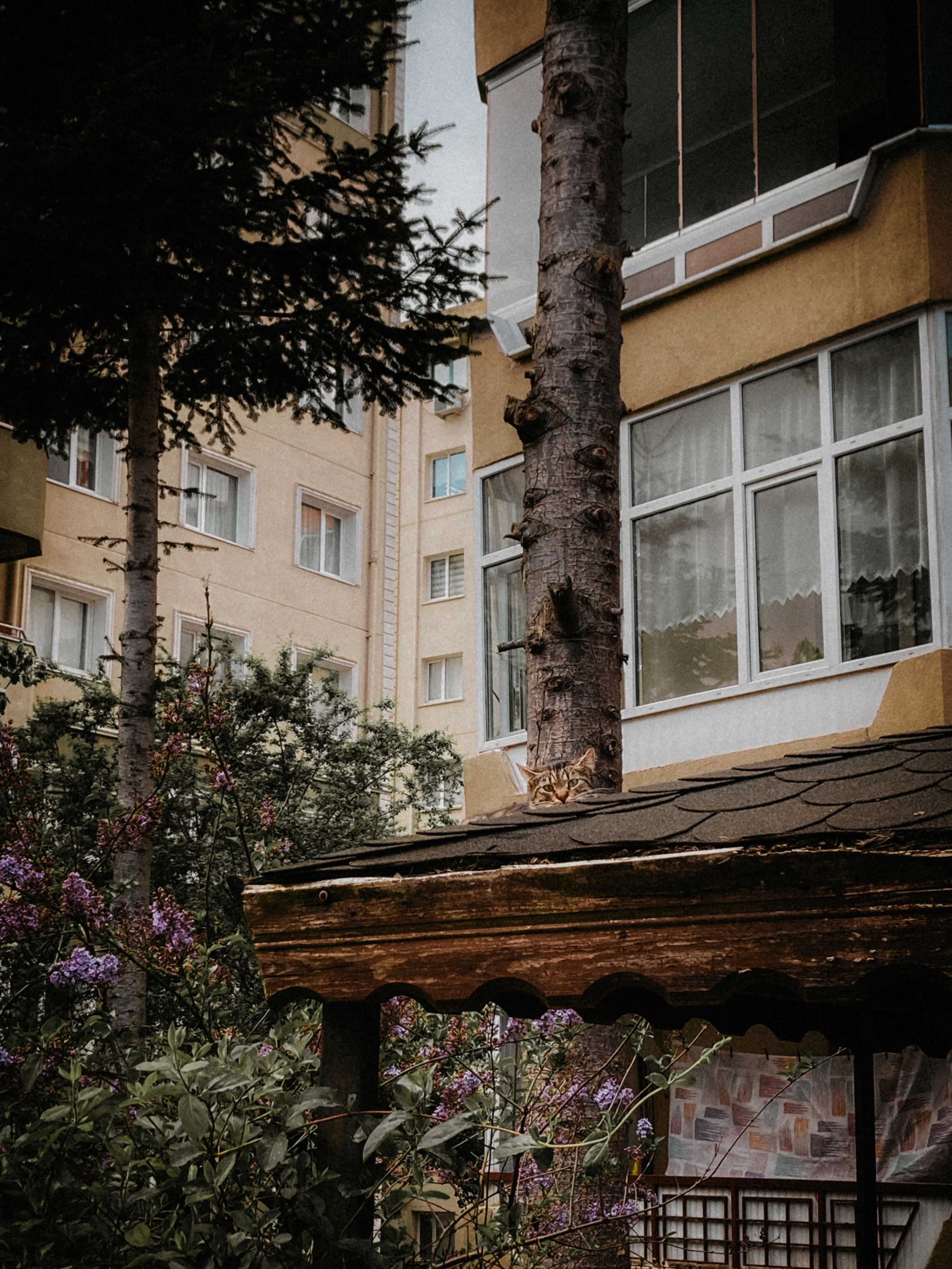 Greenery in Front of Apartment Building · Free Stock Photo