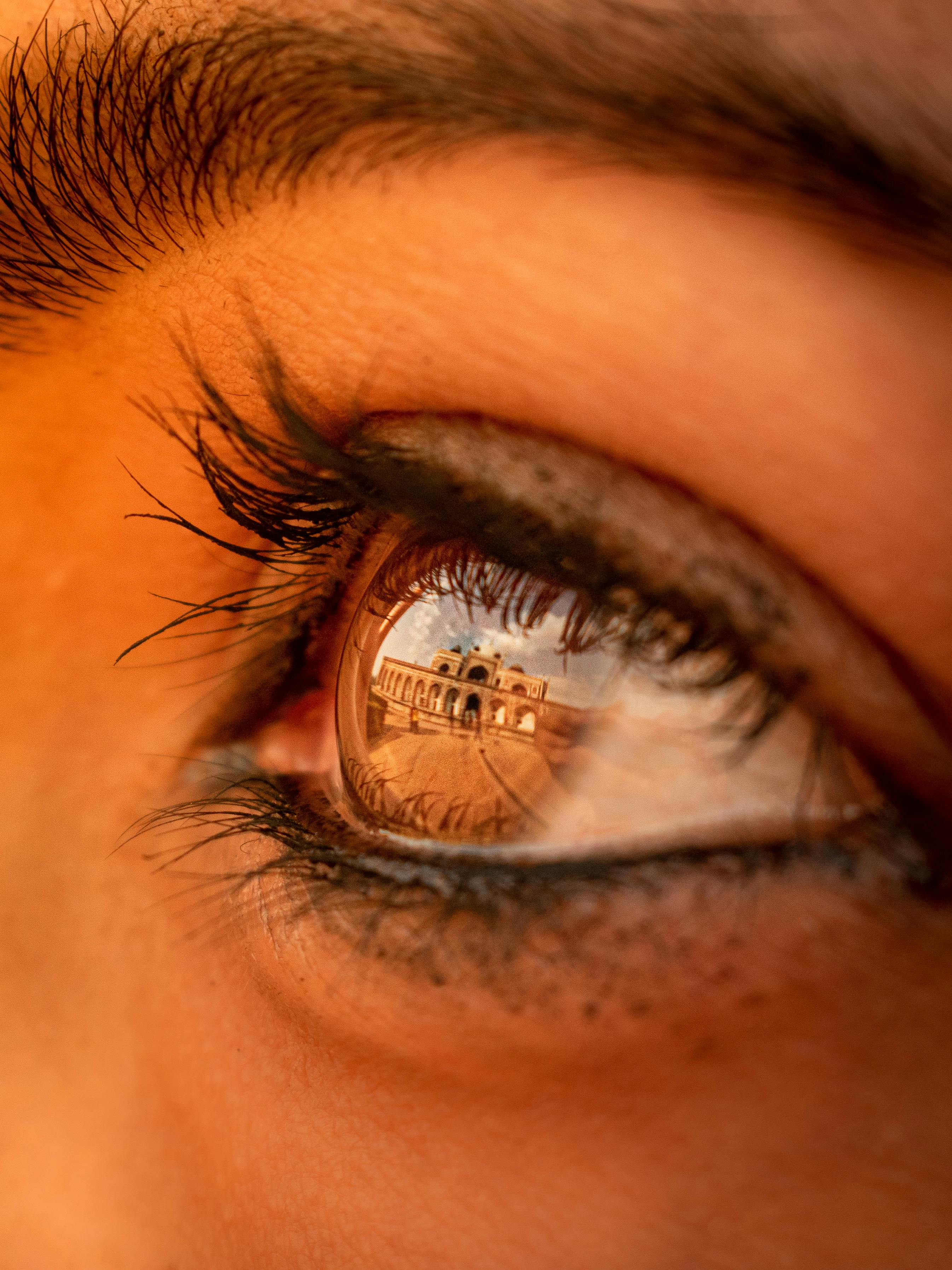 Reflection in Eye · Free Stock Photo
