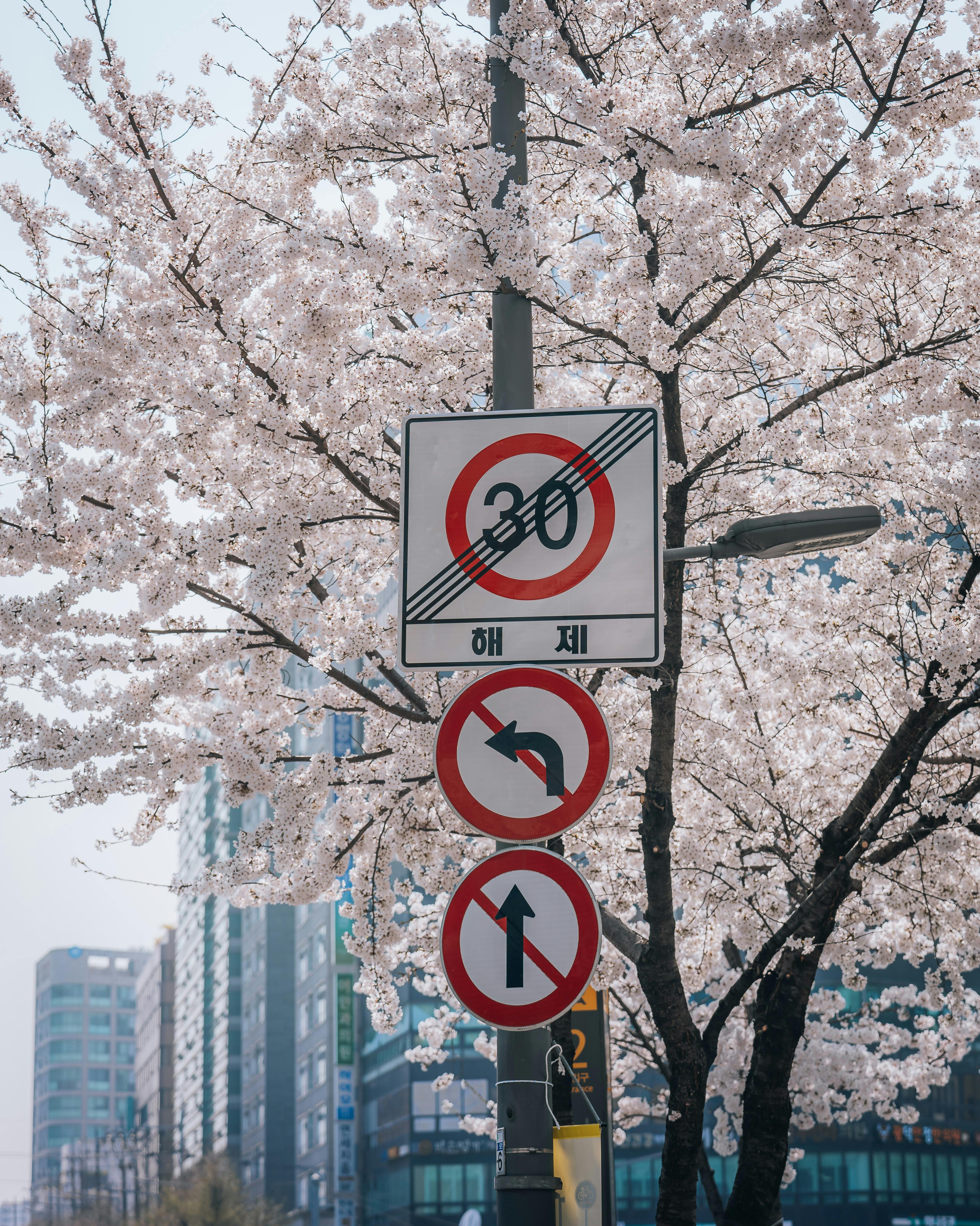 Directional Sign on Roadside · Free Stock Photo