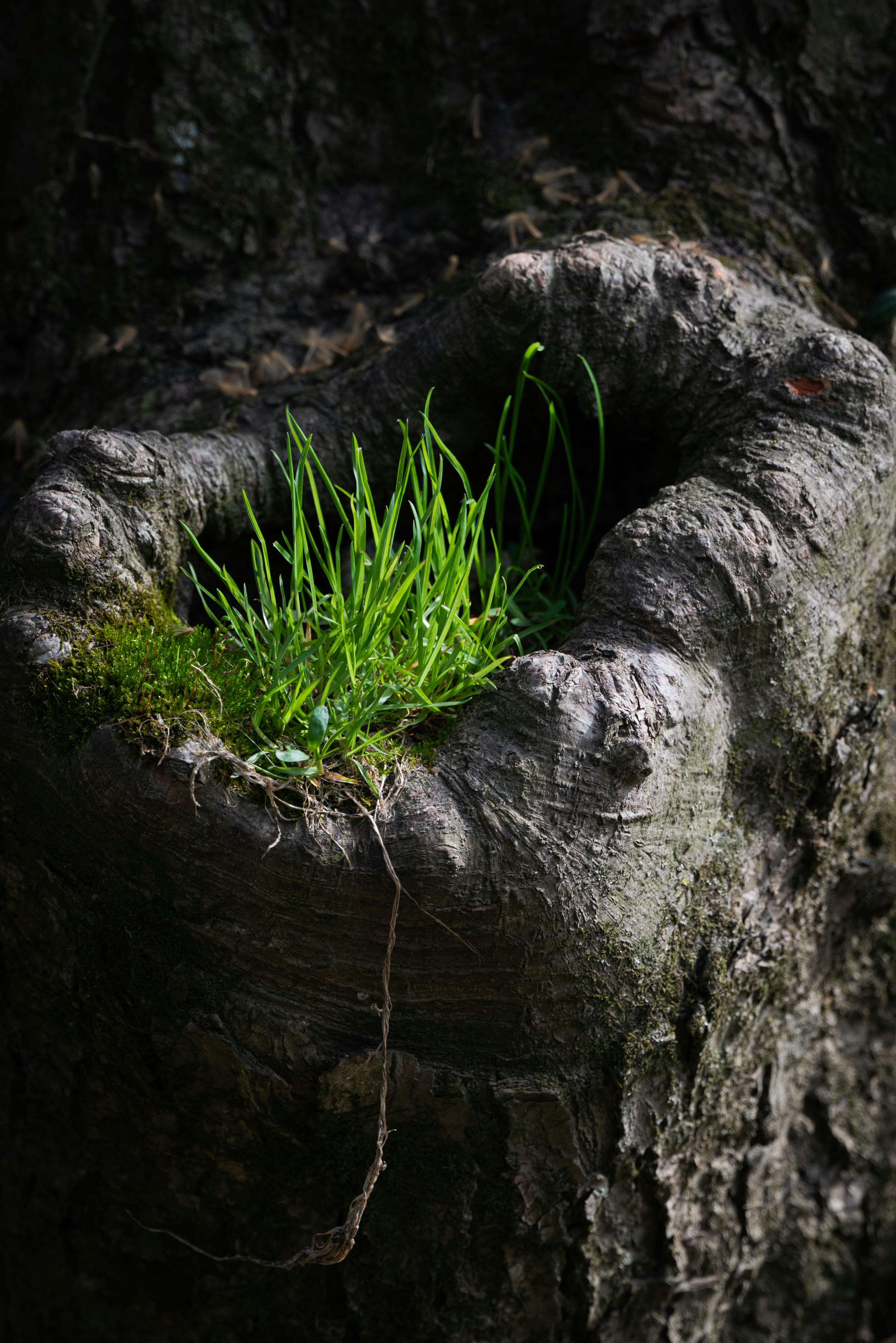 Rock Chunks Photos, Download The BEST Free Rock Chunks Stock Photos ...