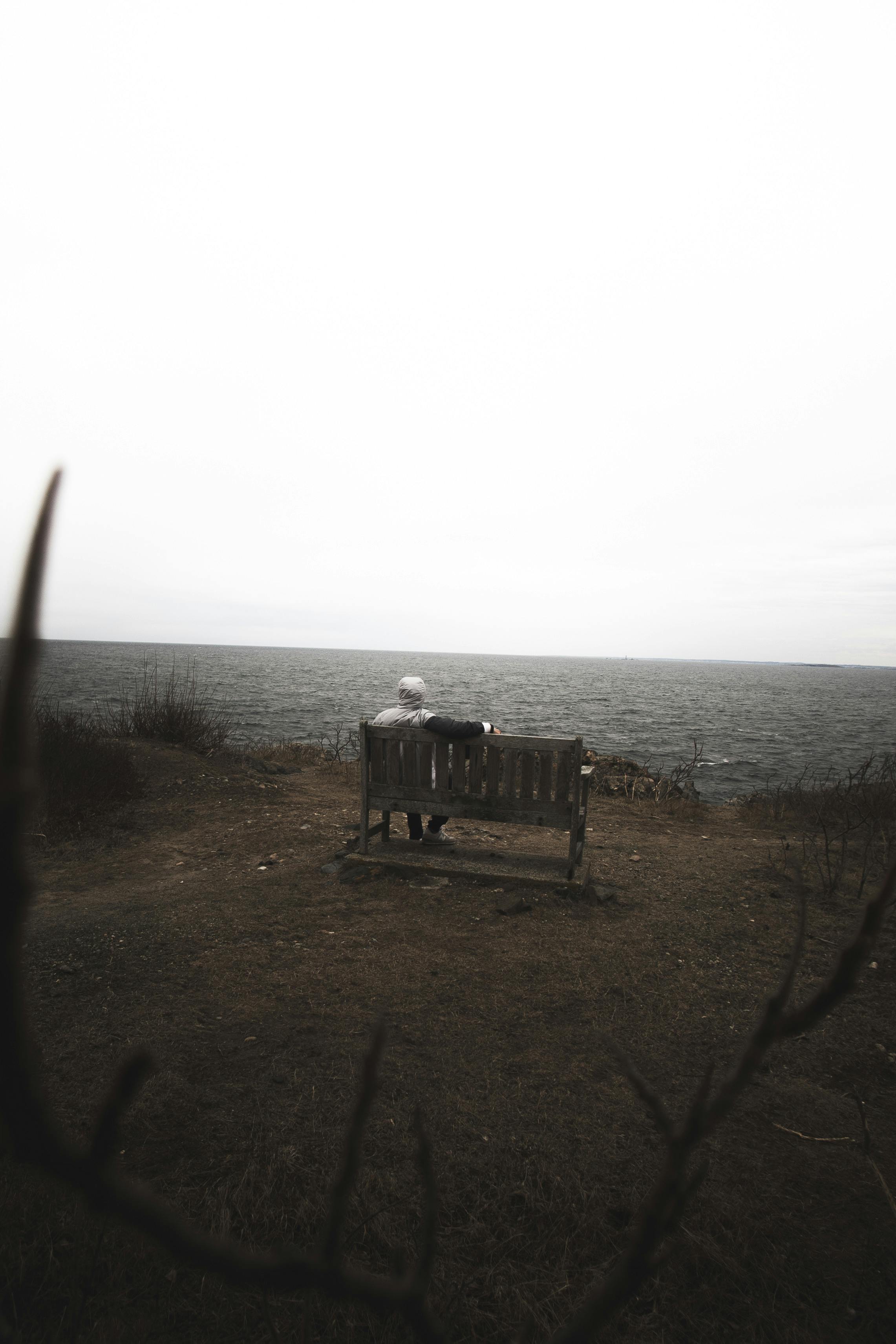 Back View of a Man Sitting Alone on a Bench · Free Stock Photo