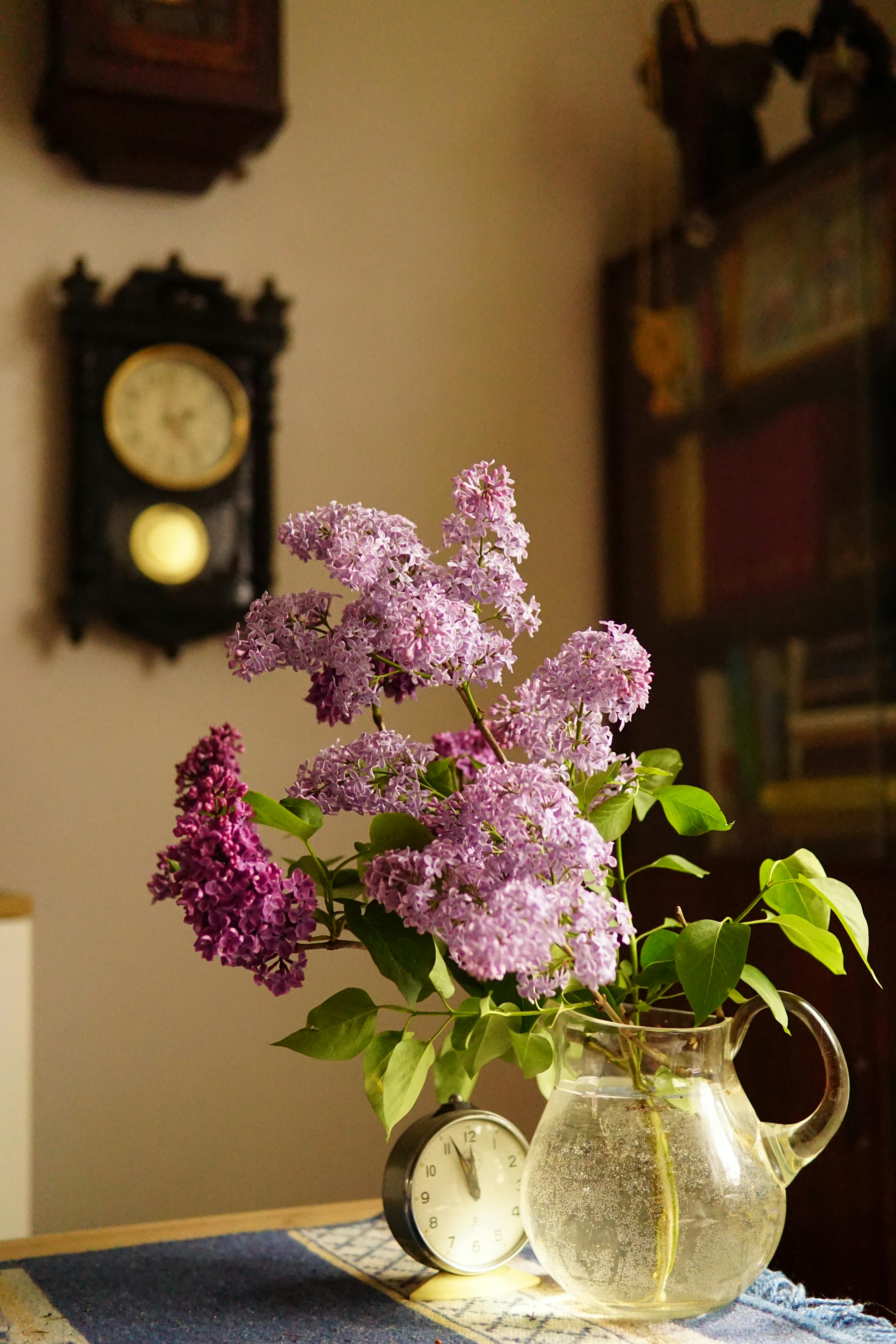 Lilac Flower Wallpaper Photos, Download The BEST Free Lilac Flower ...