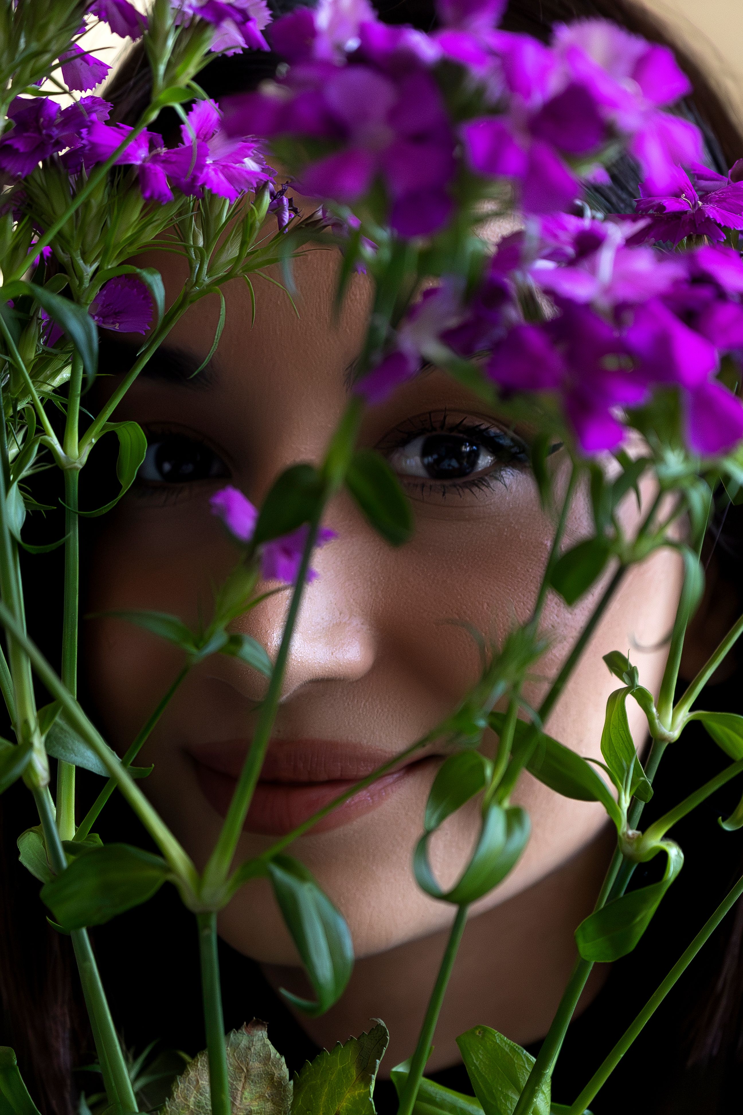 Woman Face behind Purple Flowers · Free Stock Photo