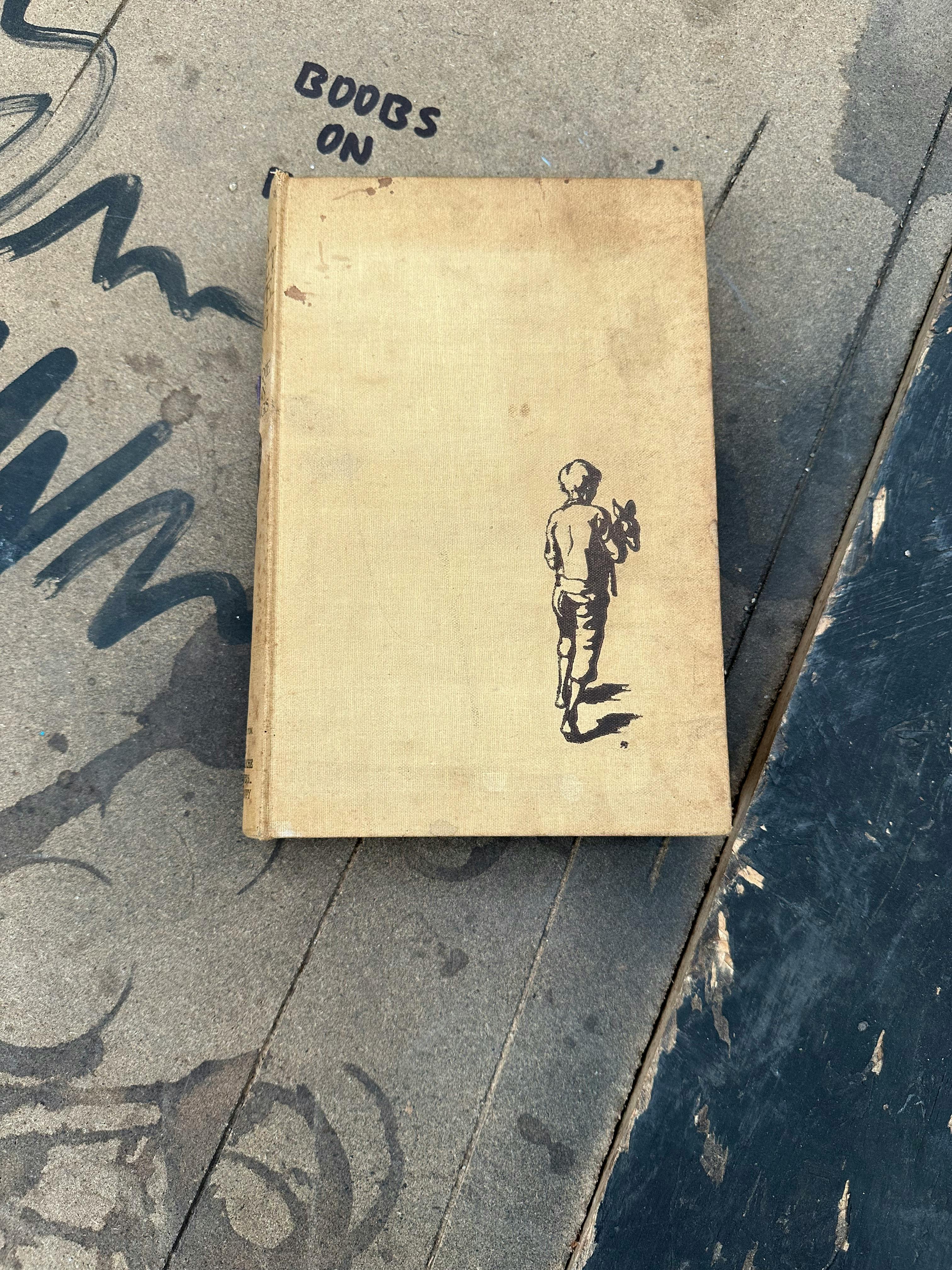 Dust Covered Photos, Download The BEST Free Dust Covered Stock Photos ...