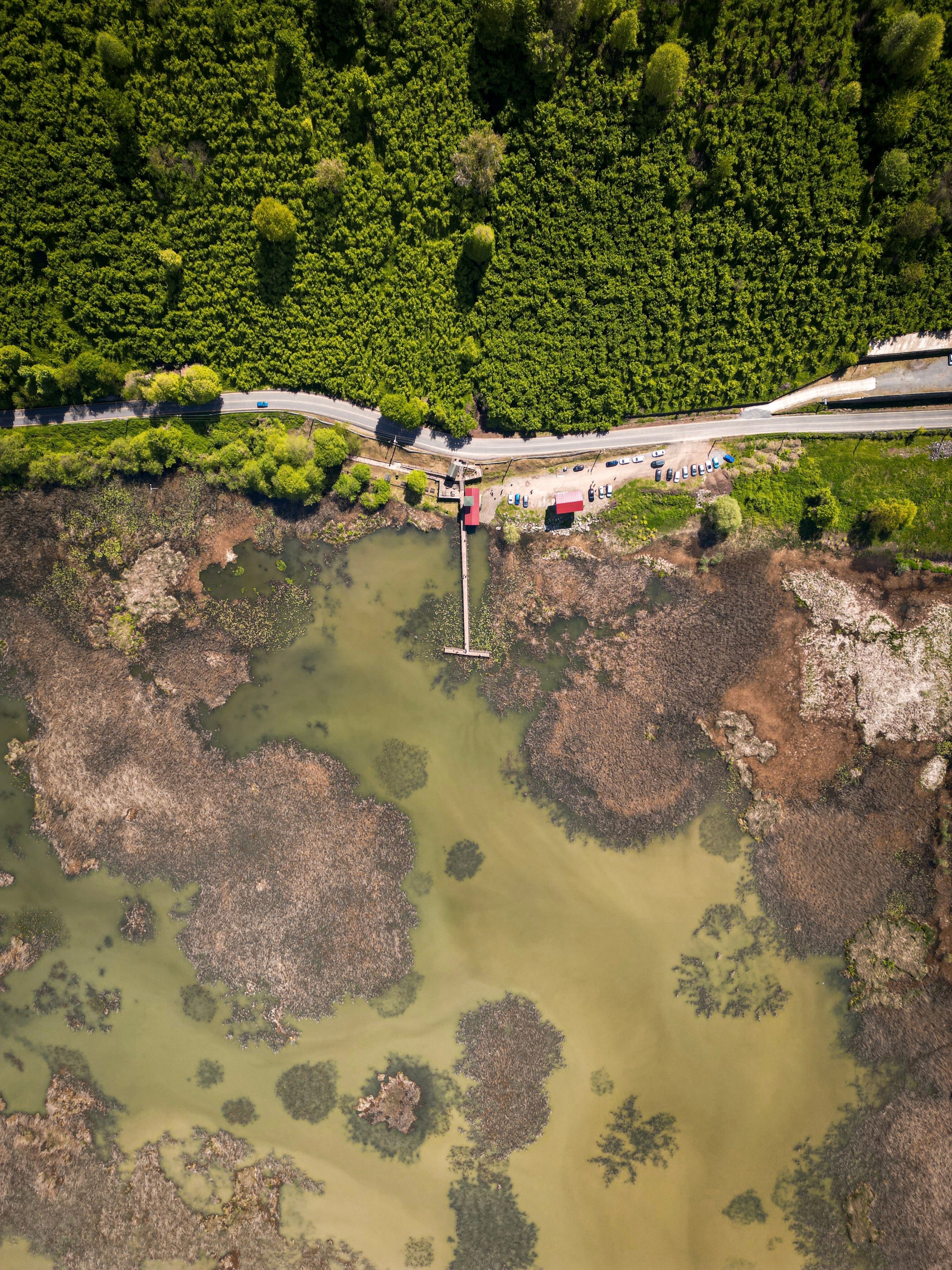 Top View of Wetland · Free Stock Photo