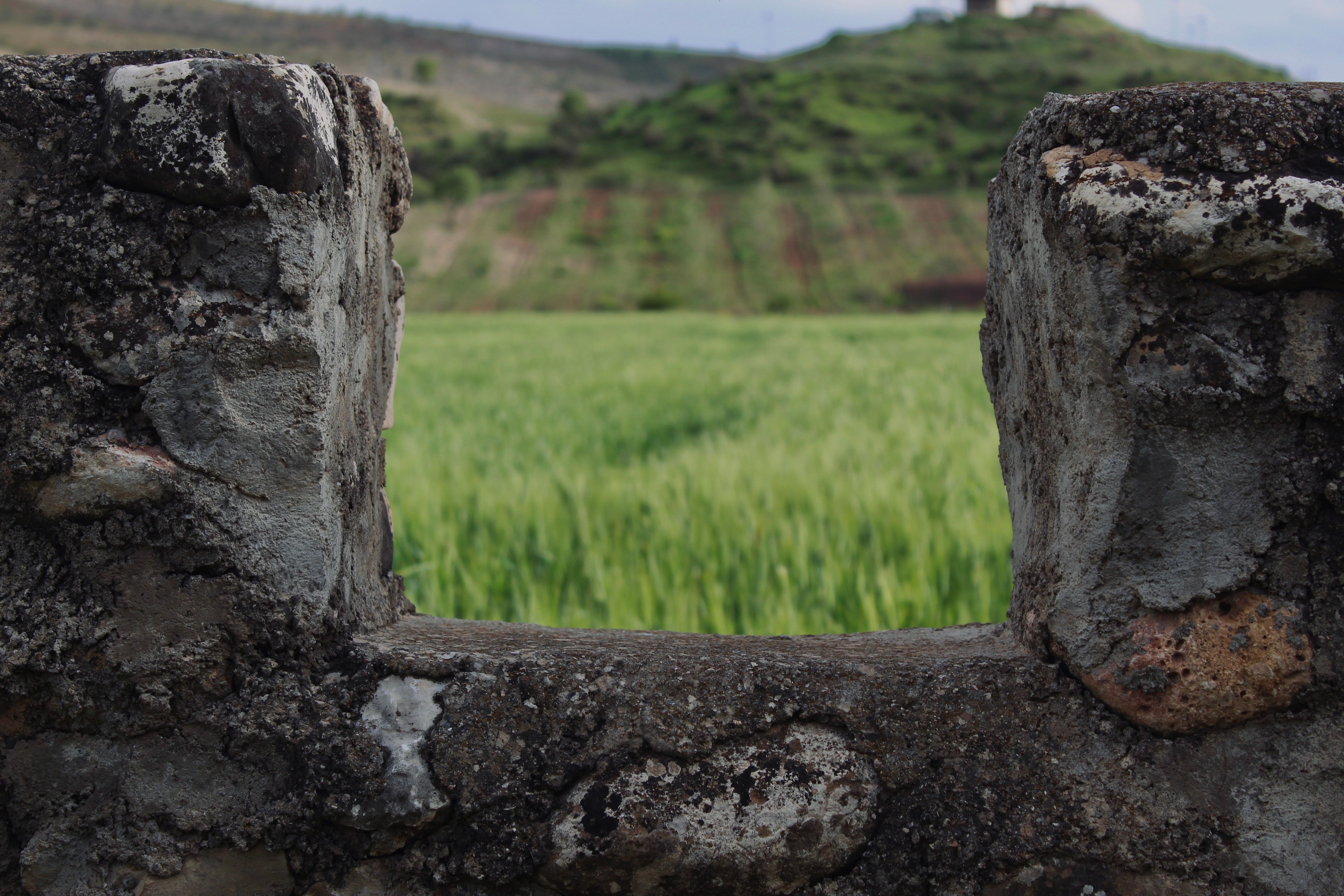 Agricultural Field Seen through Stone Wall · Free Stock Photo