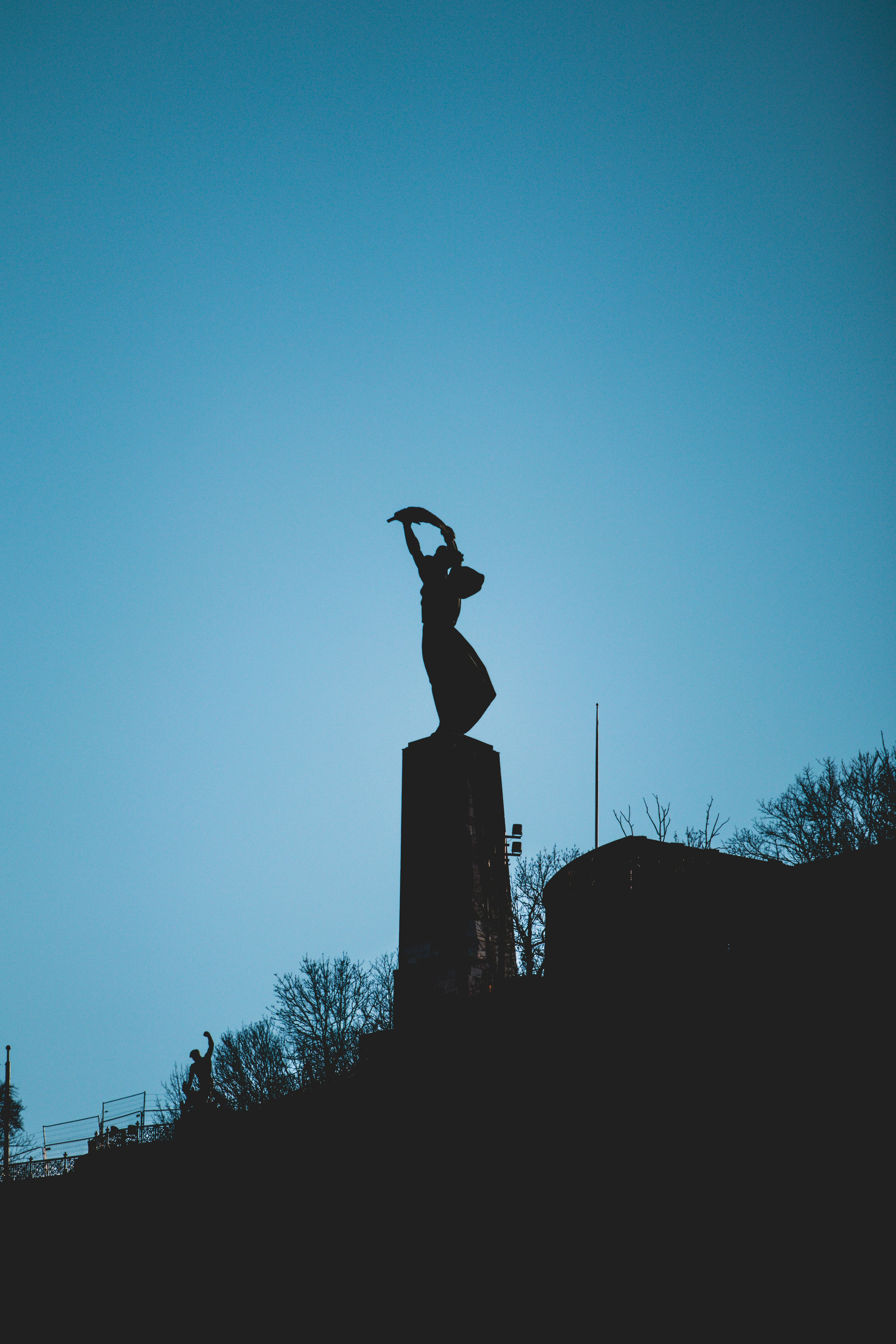 Silhouette of a Man at Dusk · Free Stock Photo