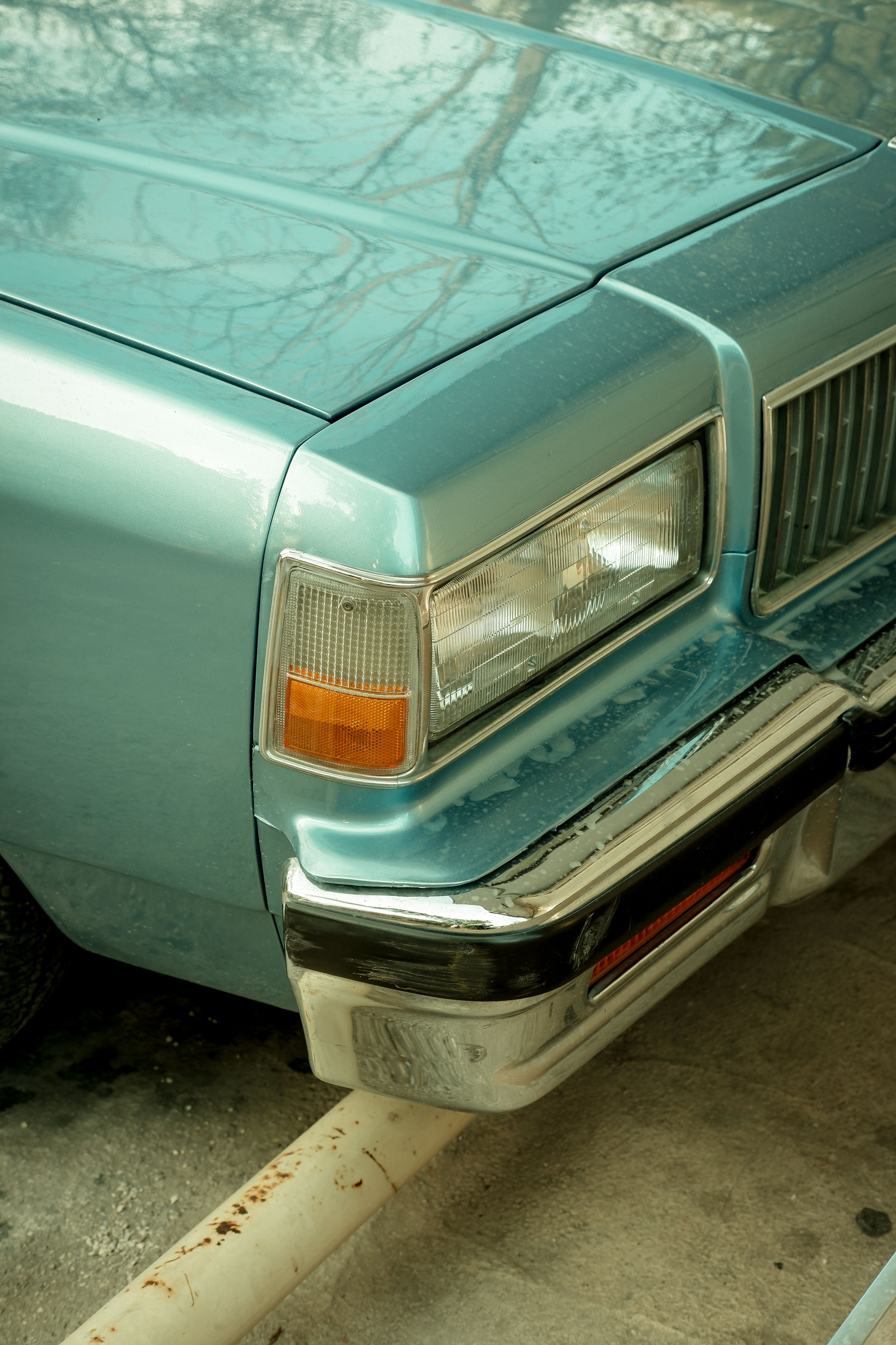 Close Up Photo of a Shiny Black Car Fender · Free Stock Photo