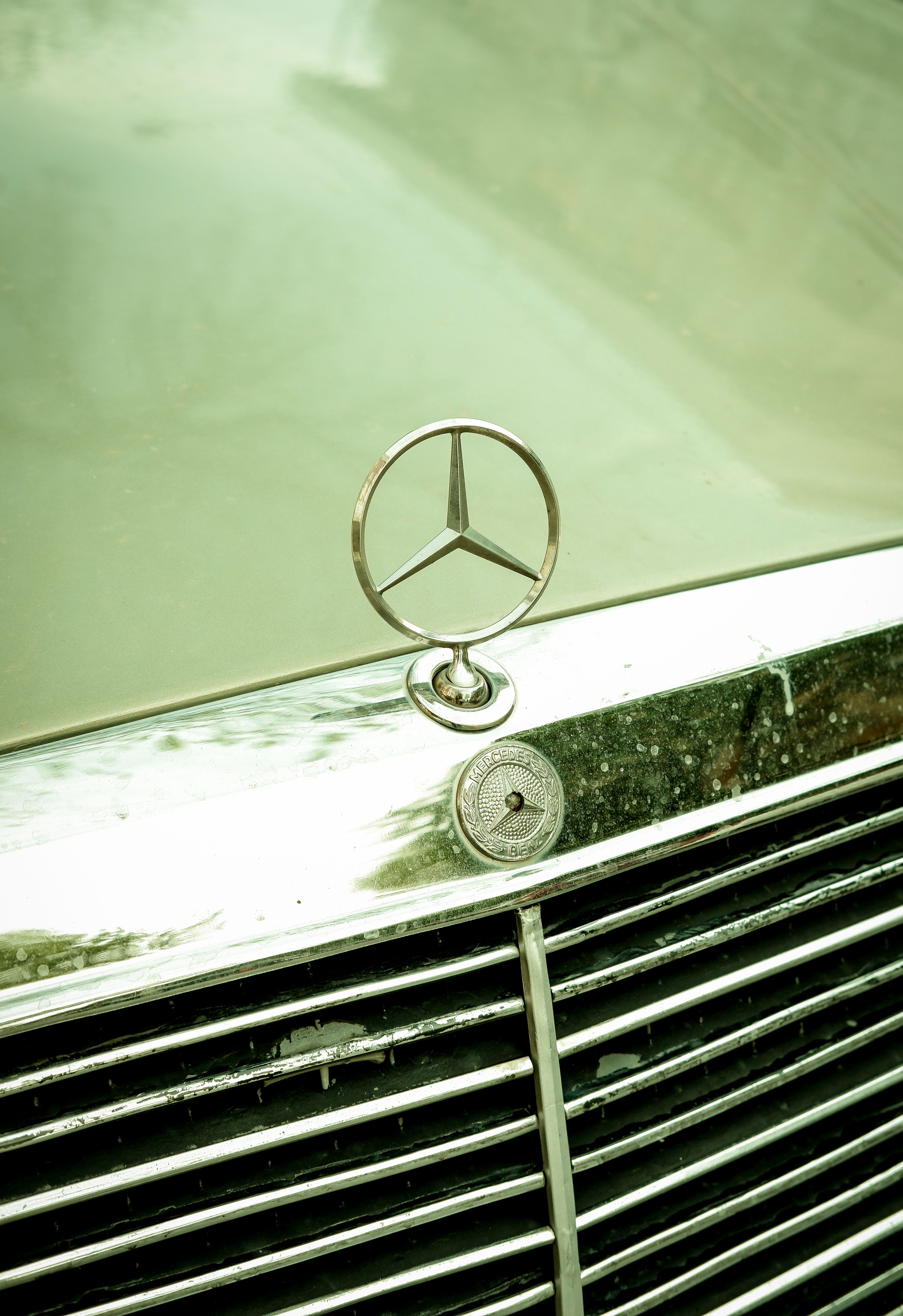 Close-up of Mercedes Log on the Car · Free Stock Photo