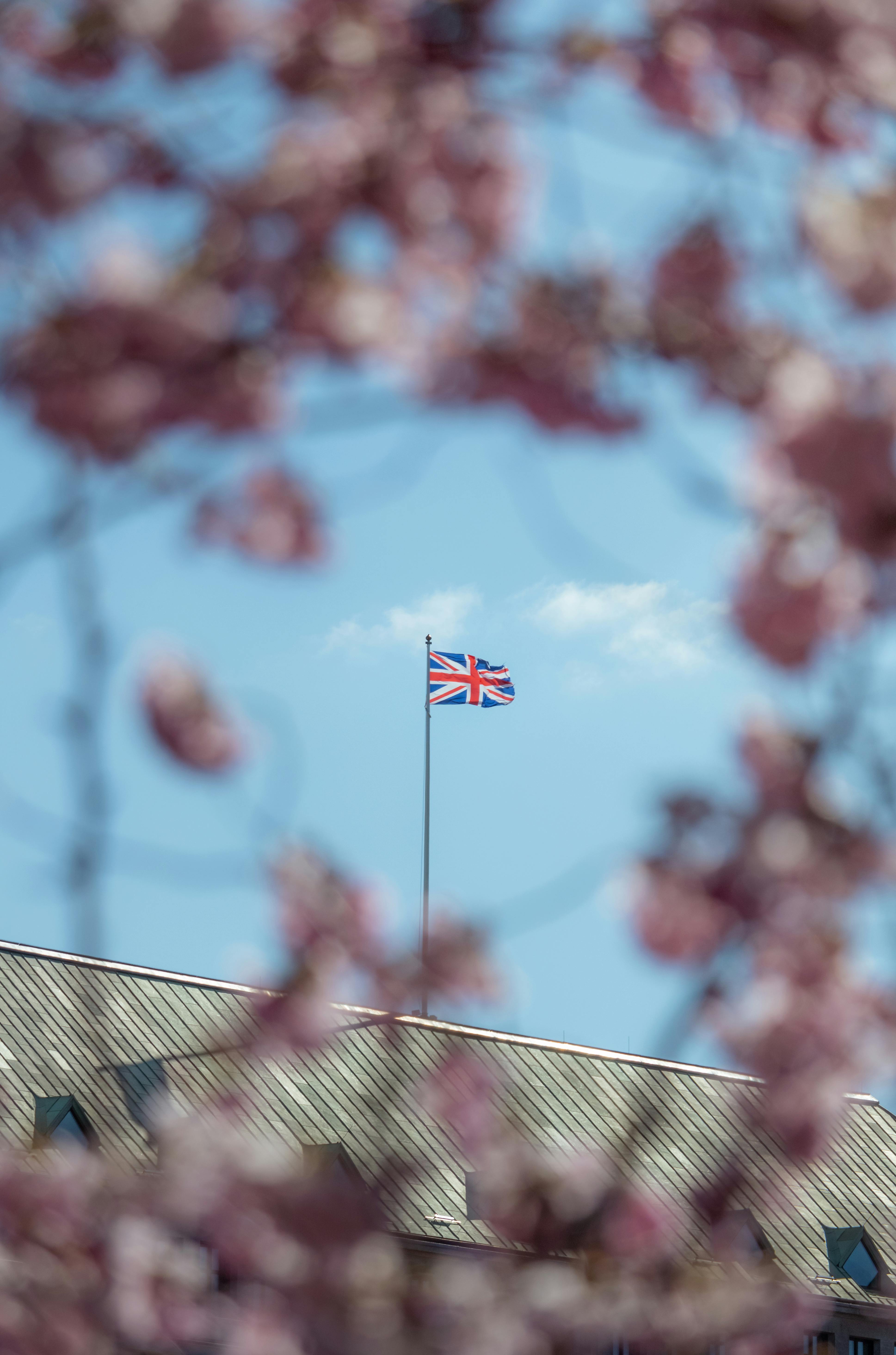 A british flag flies over the palace of london · Free Stock Photo