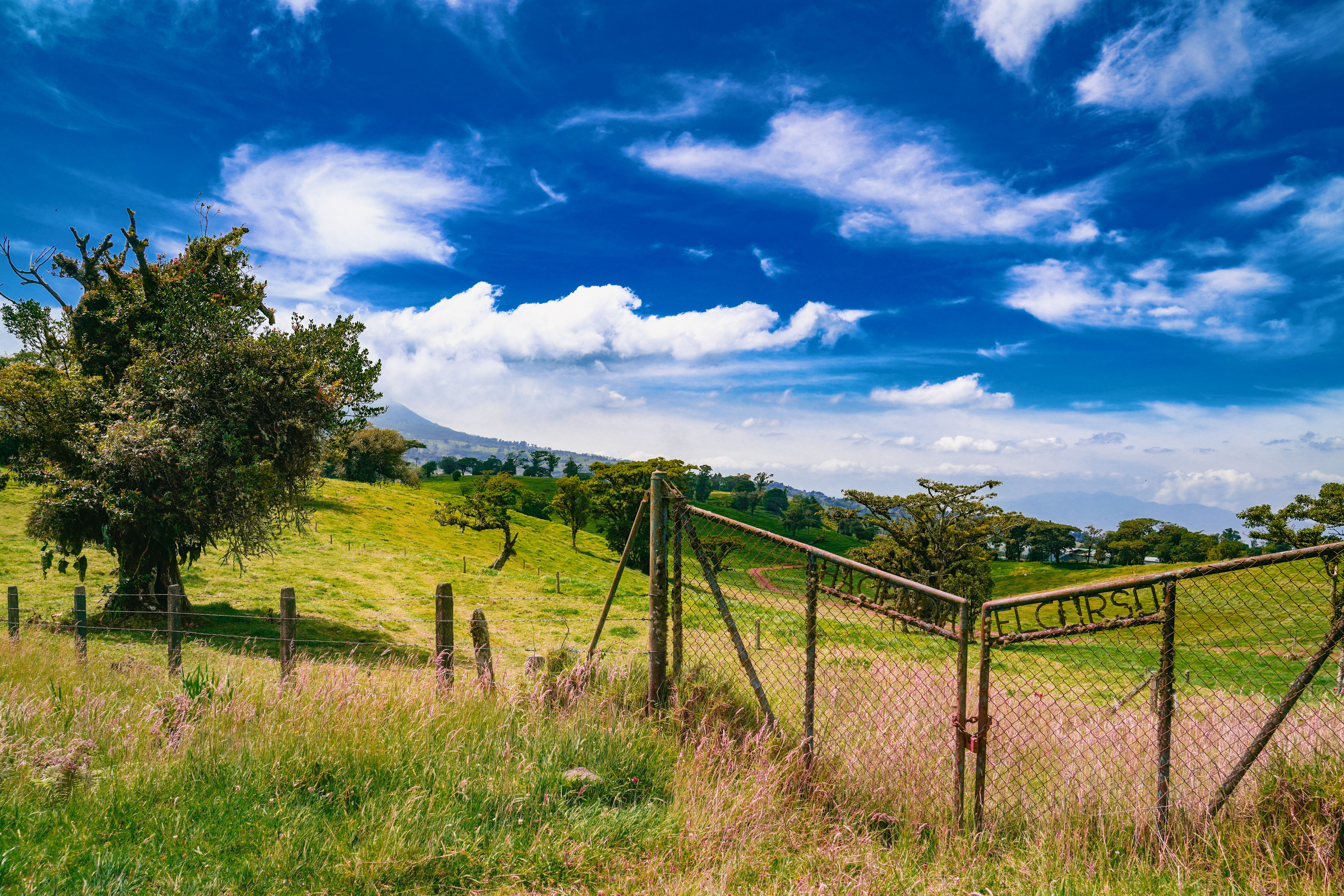 Scenic View of Countryside · Free Stock Photo