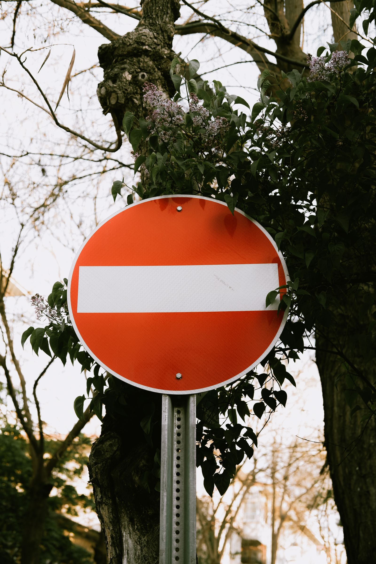 Warning Sign Photos, Download The BEST Free Warning Sign Stock Photos ...