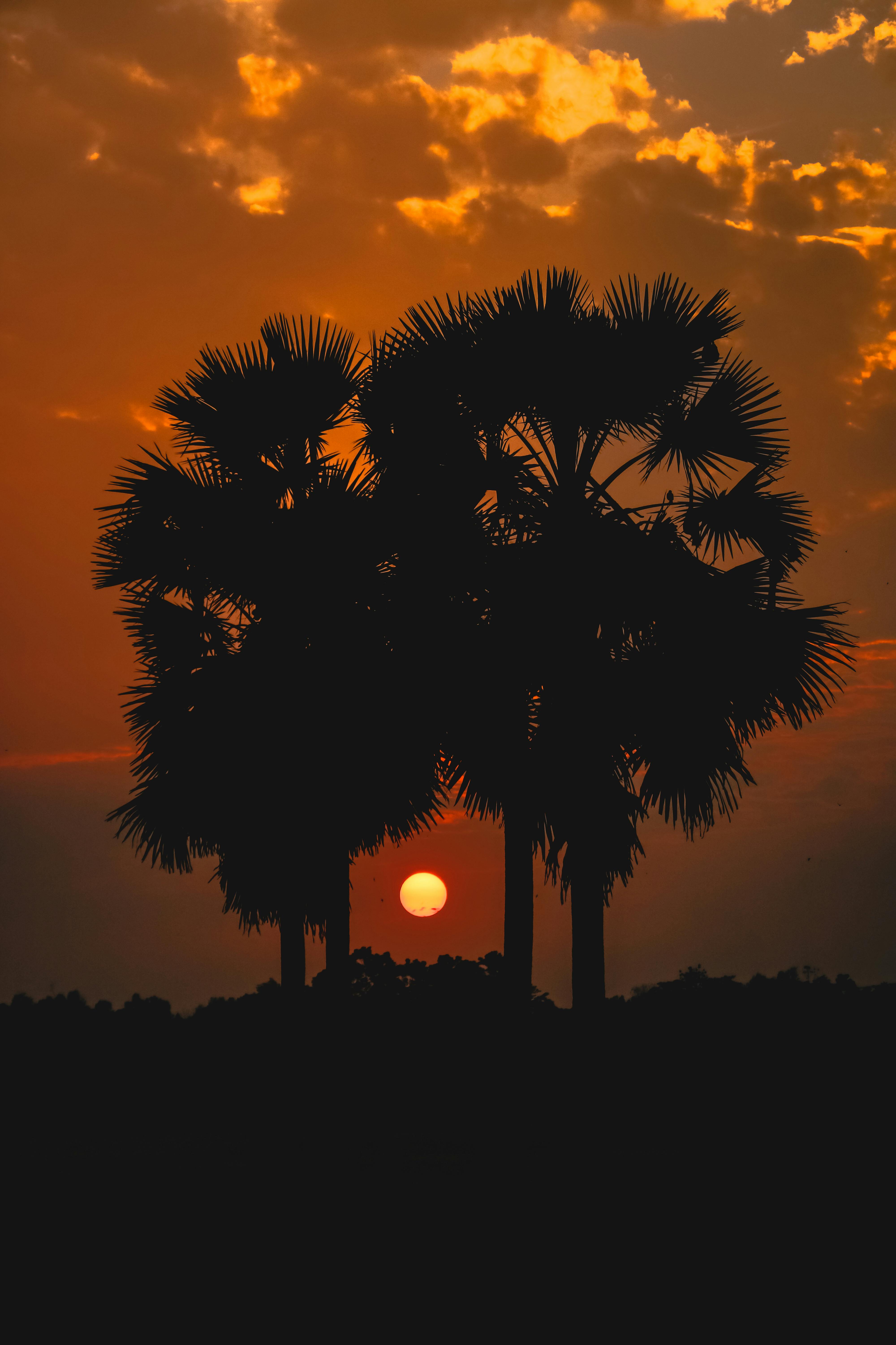 Ariel Landscape Photos, Download The BEST Free Ariel Landscape Stock ...