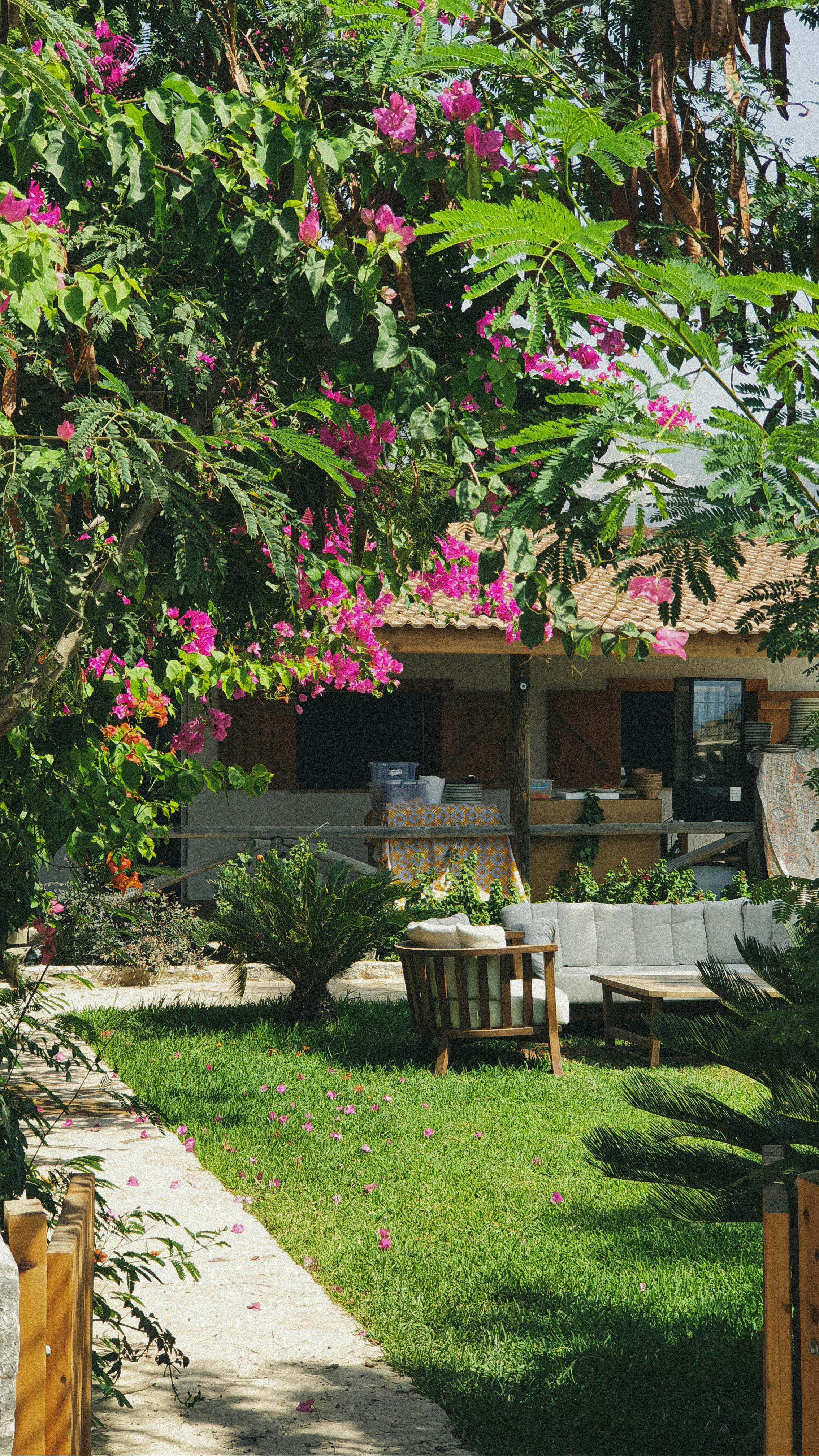 Assorted Plants With Trees Photography · Free Stock Photo