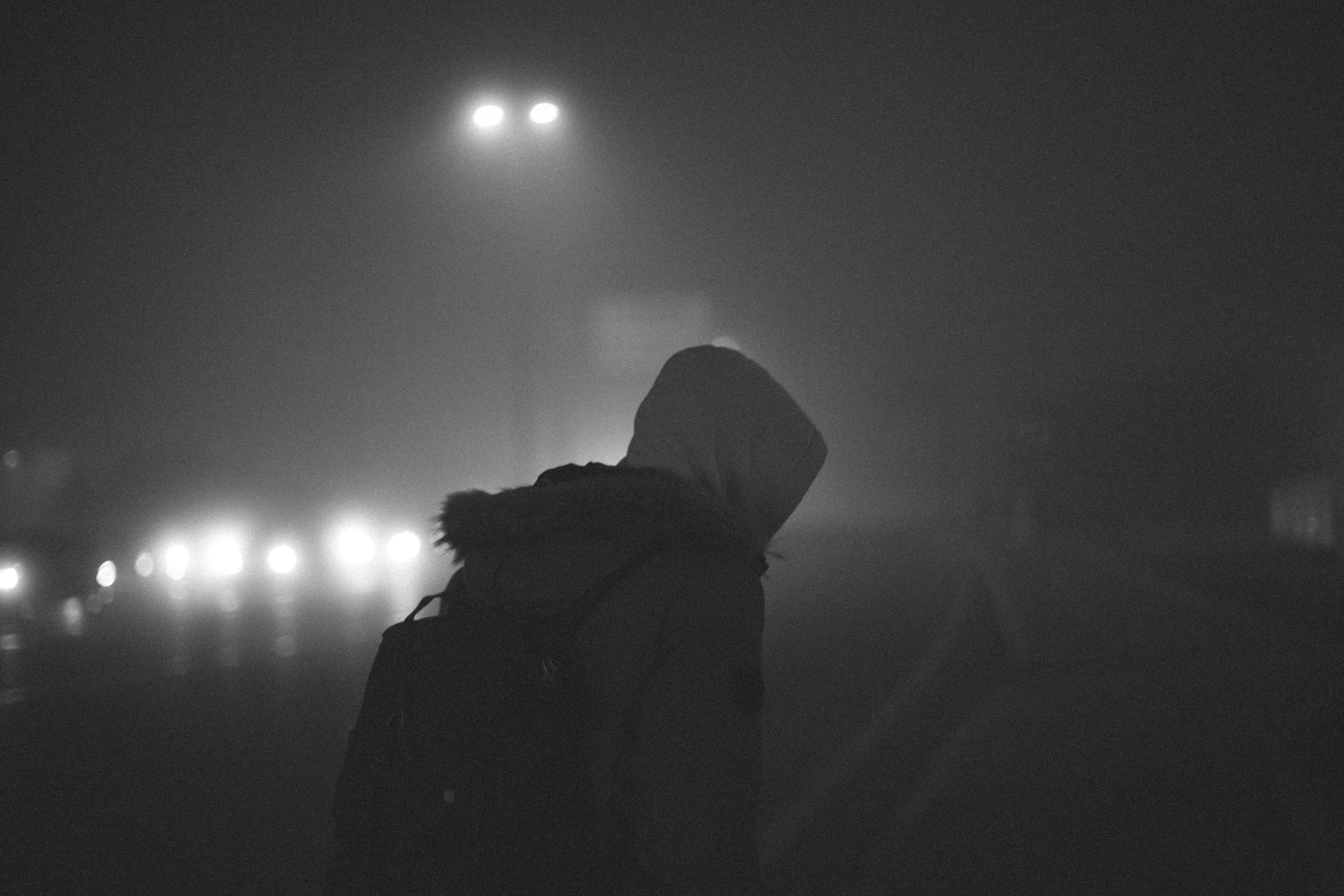 Kurklu Fog Baligi Photos, Download The BEST Free Kurklu Fog Baligi ...