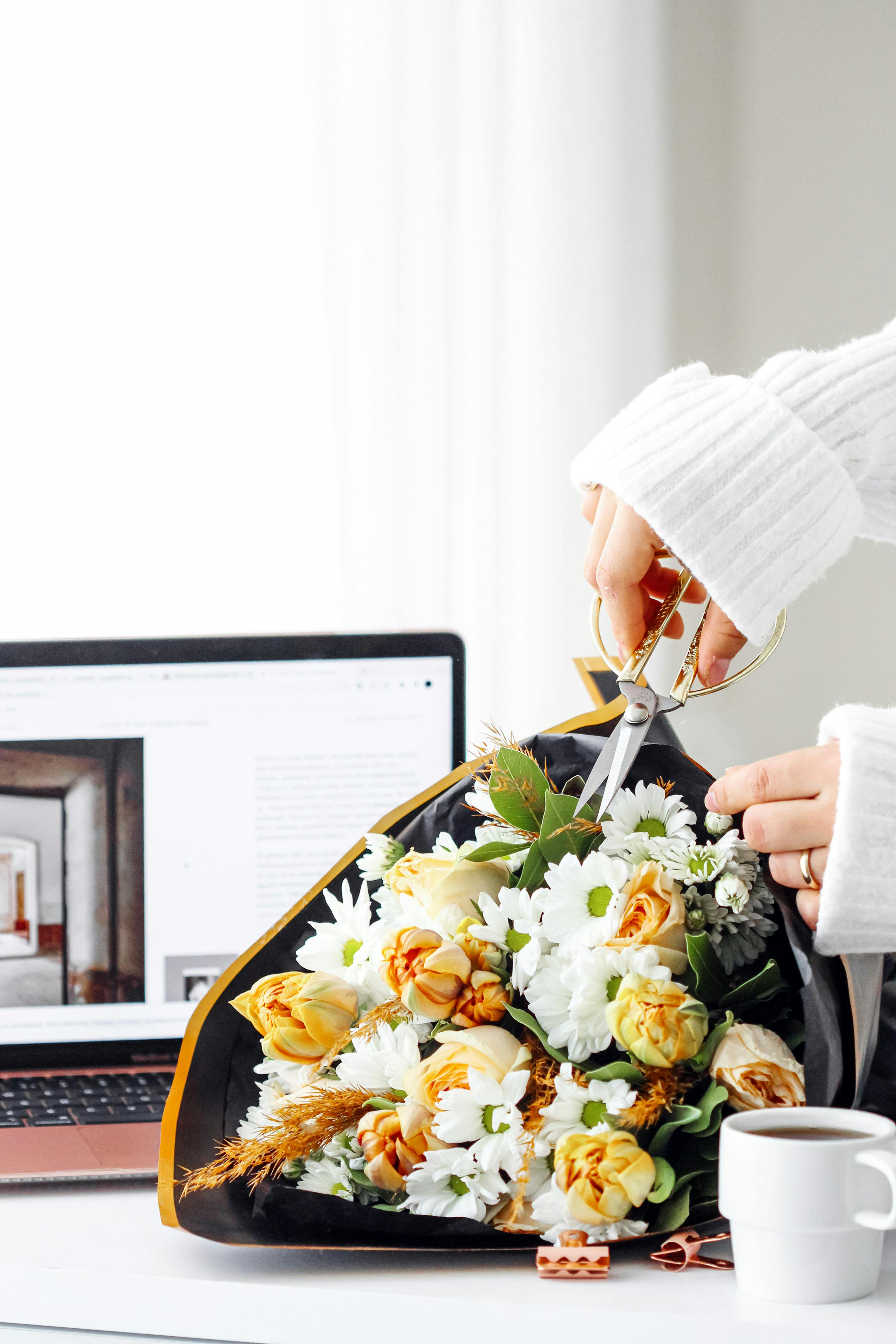 Reed Cutting Photos, Download The BEST Free Reed Cutting Stock Photos ...