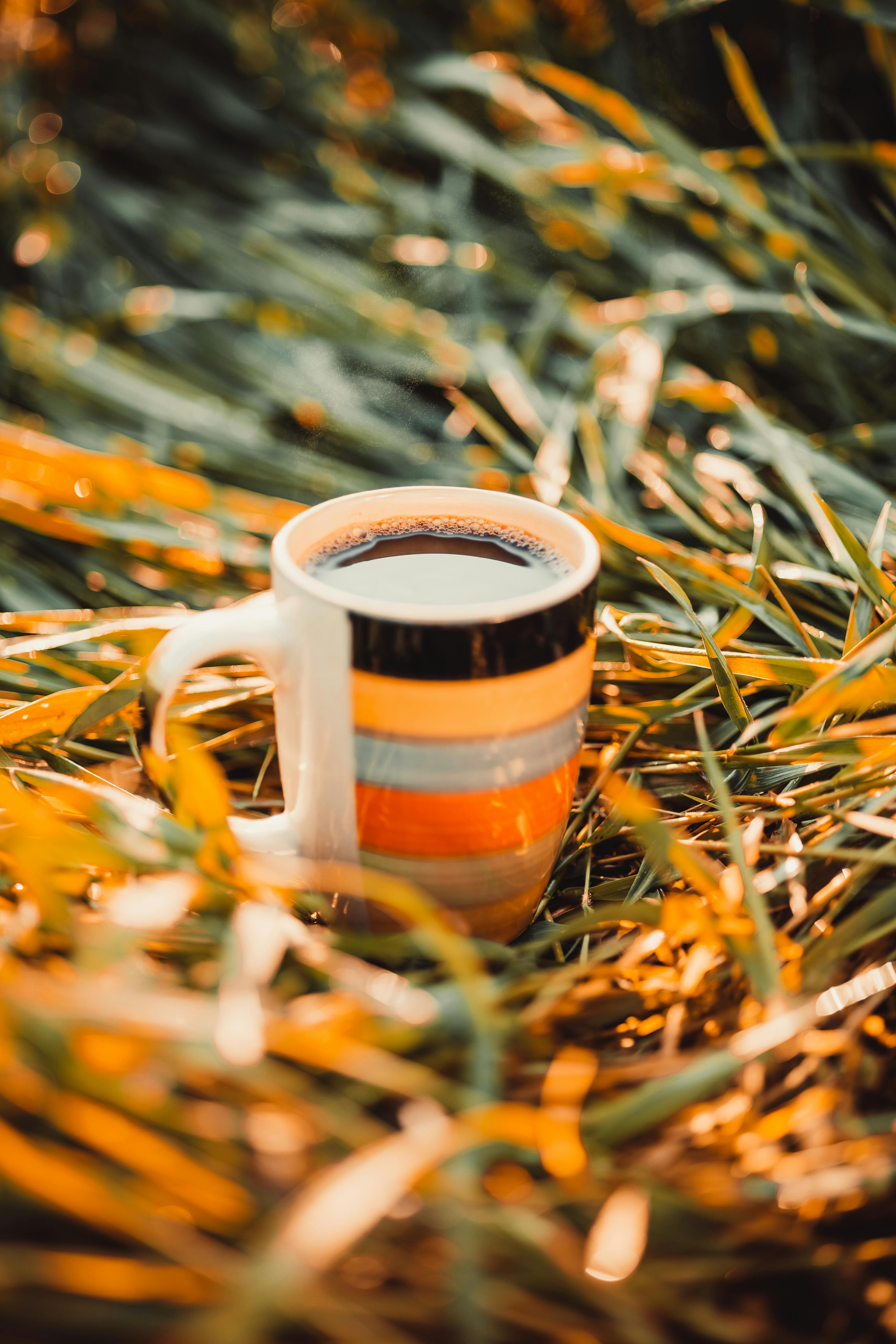 Close-up of a Cup of Cofee in the Grass · Free Stock Photo