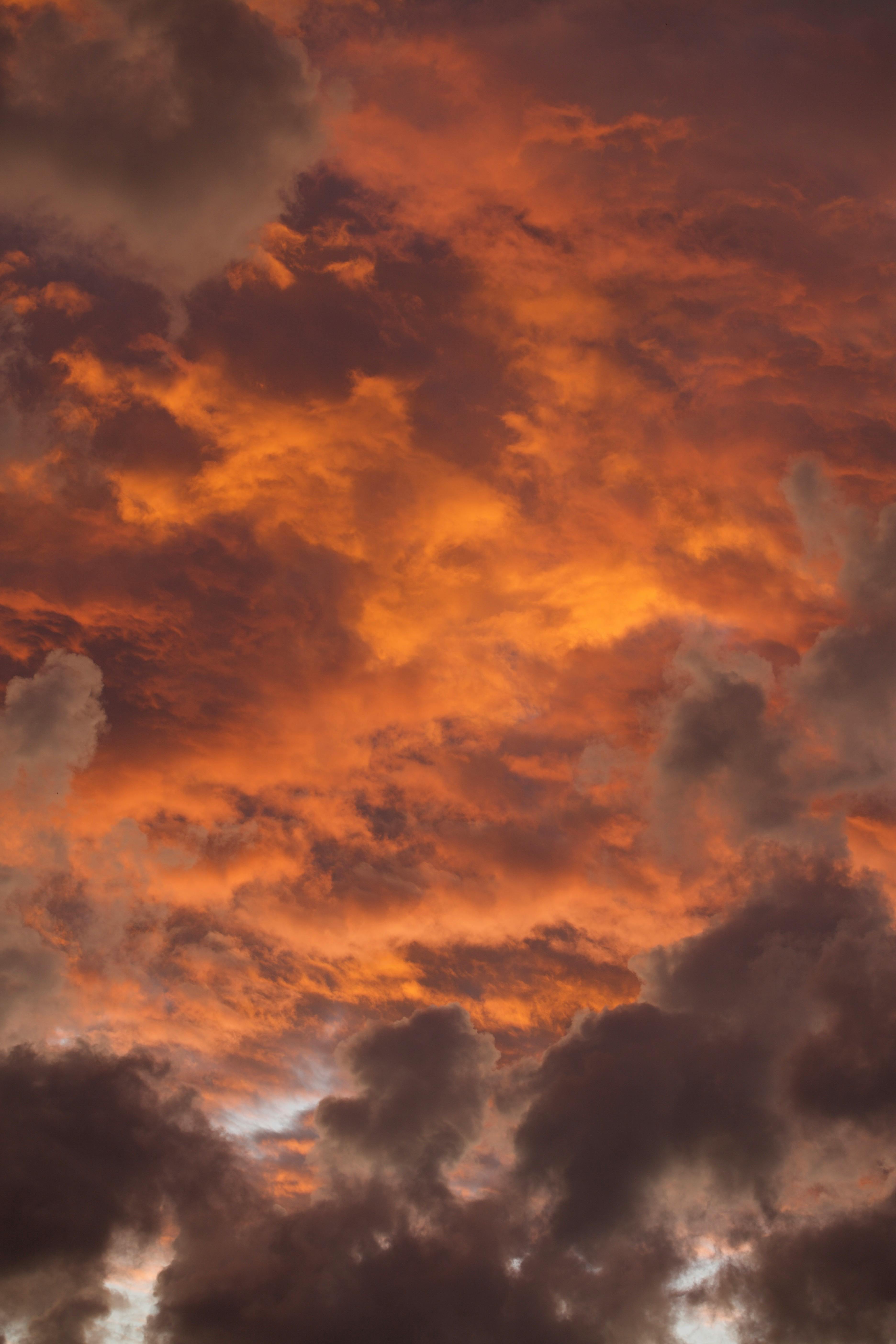 Felipe Lozano - Fotografía